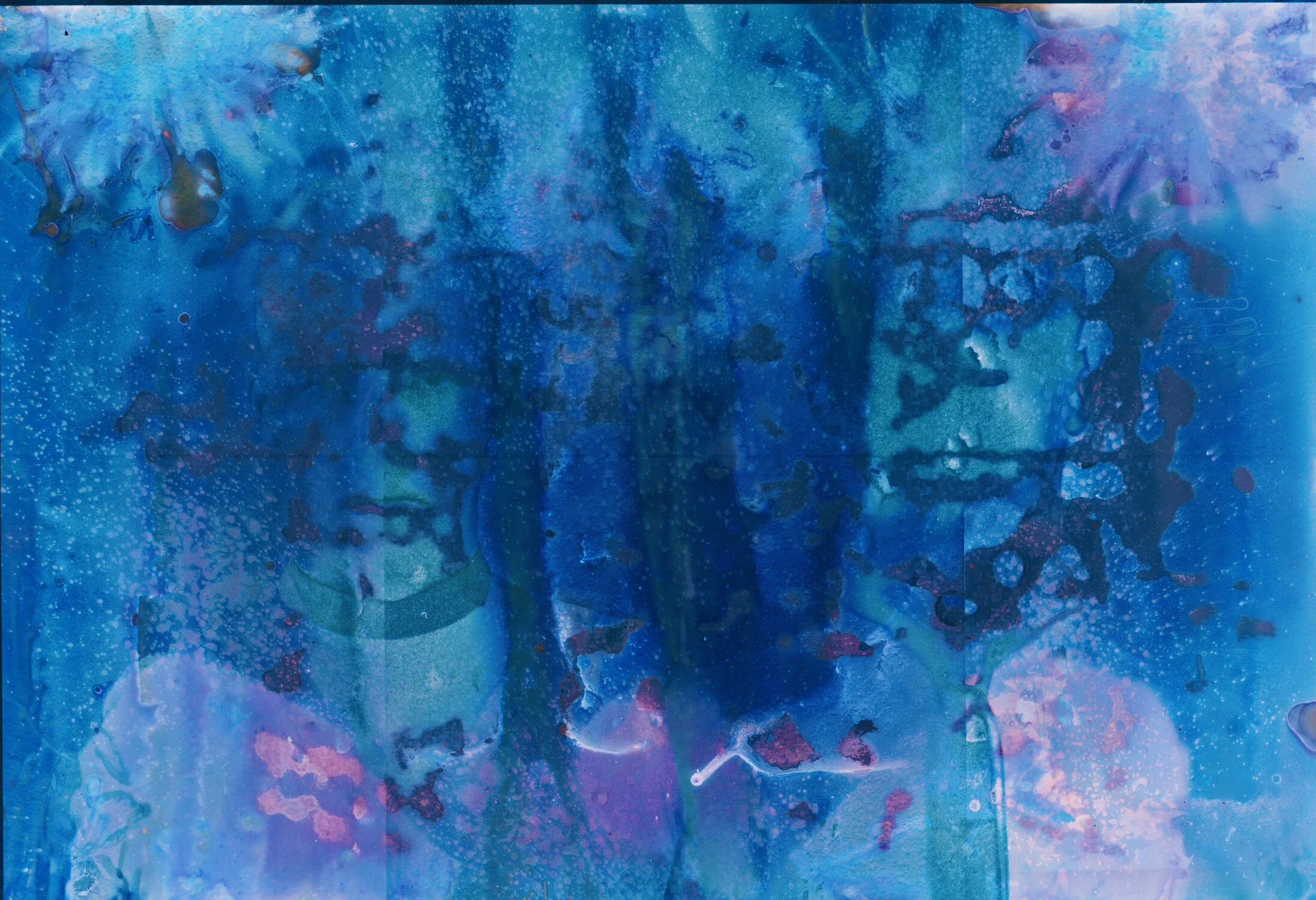 The Largest Curated Gallery of Cyanotypes of 2021 — Analog Forever Magazine