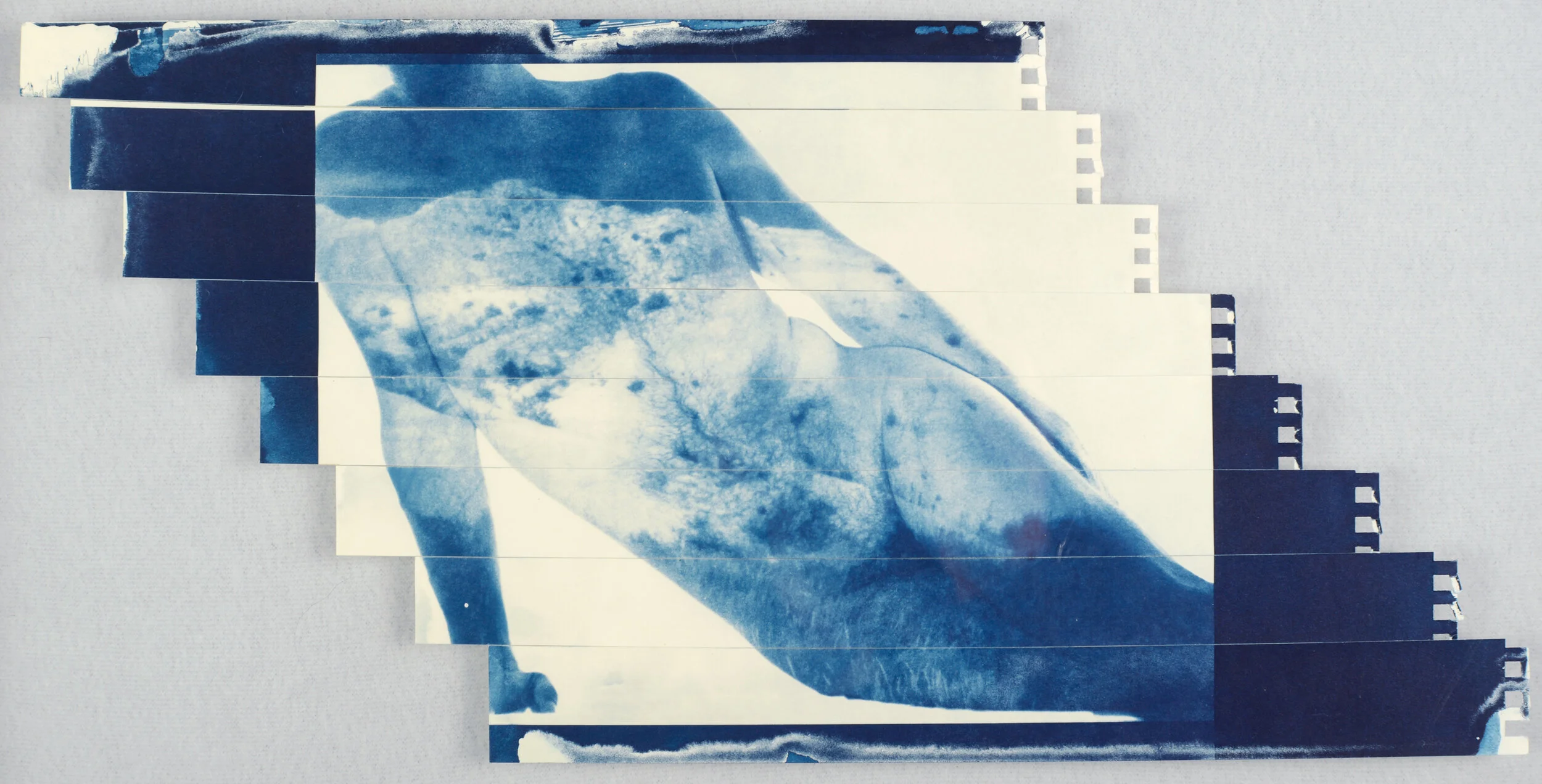 The Largest Curated Gallery of Cyanotypes of 2021 — Analog Forever Magazine