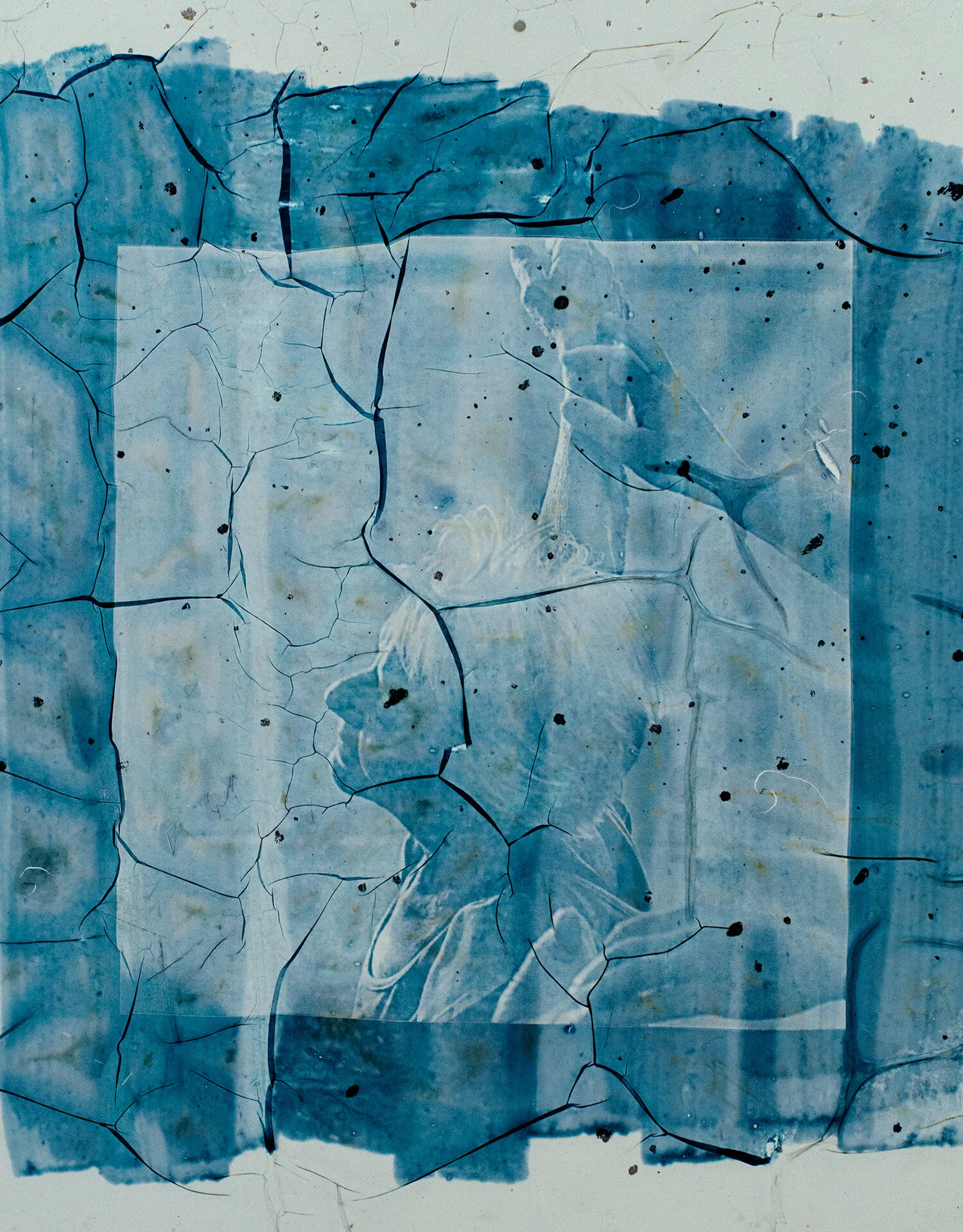The Largest Curated Gallery of Cyanotypes of 2021 — Analog Forever Magazine