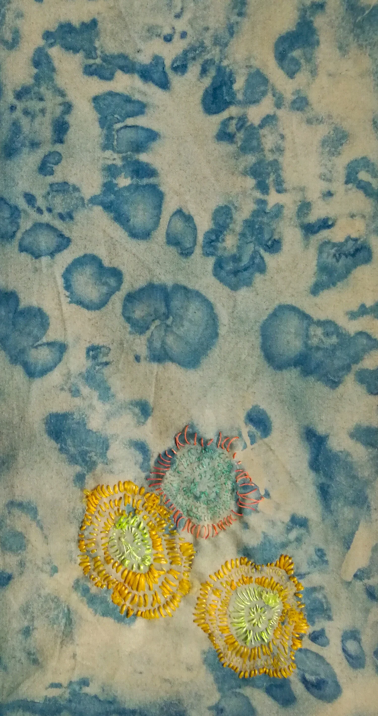 The Largest Curated Gallery of Cyanotypes of 2021 — Analog Forever Magazine