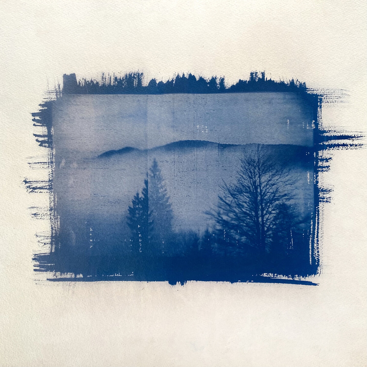 The Largest Curated Gallery of Cyanotypes of 2021 — Analog Forever Magazine