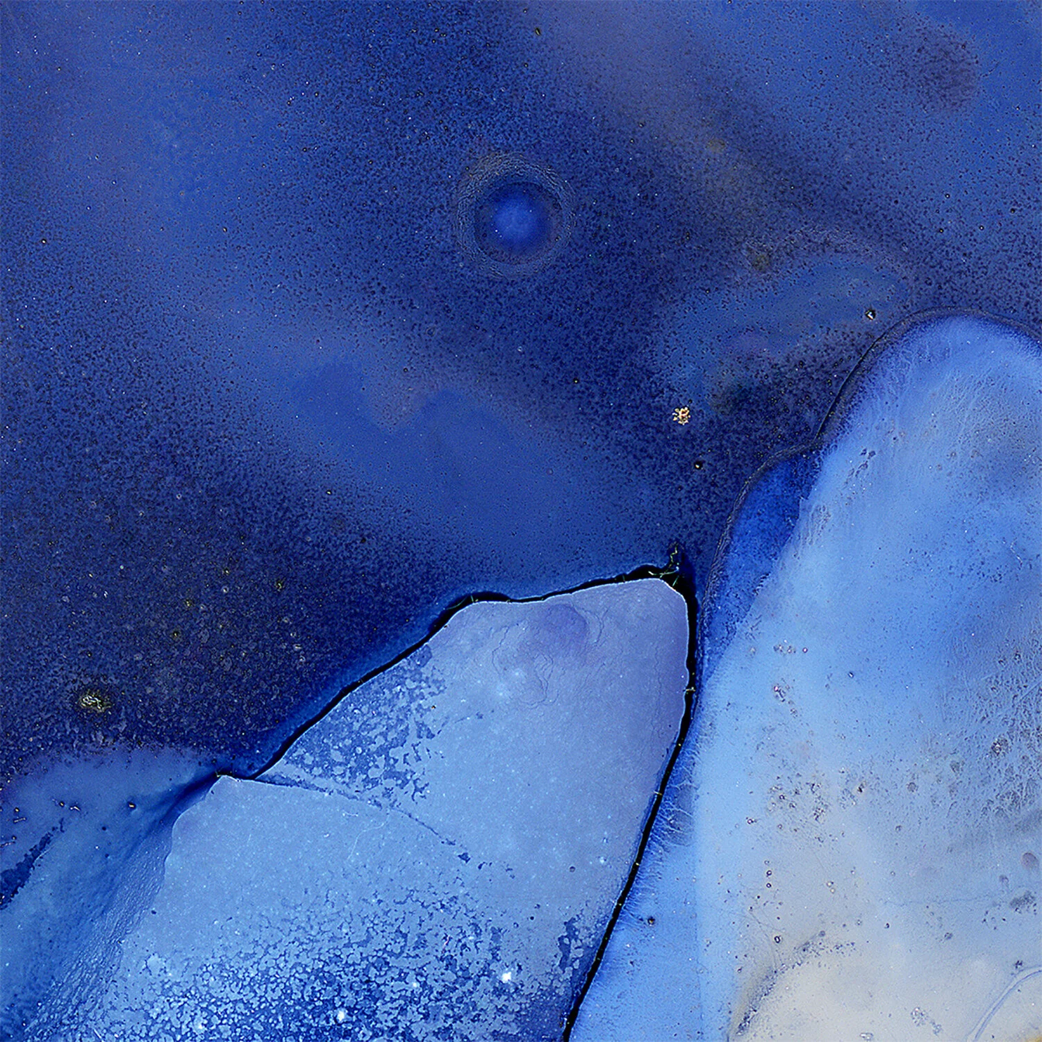 The Largest Curated Gallery of Cyanotypes of 2021 — Analog Forever Magazine