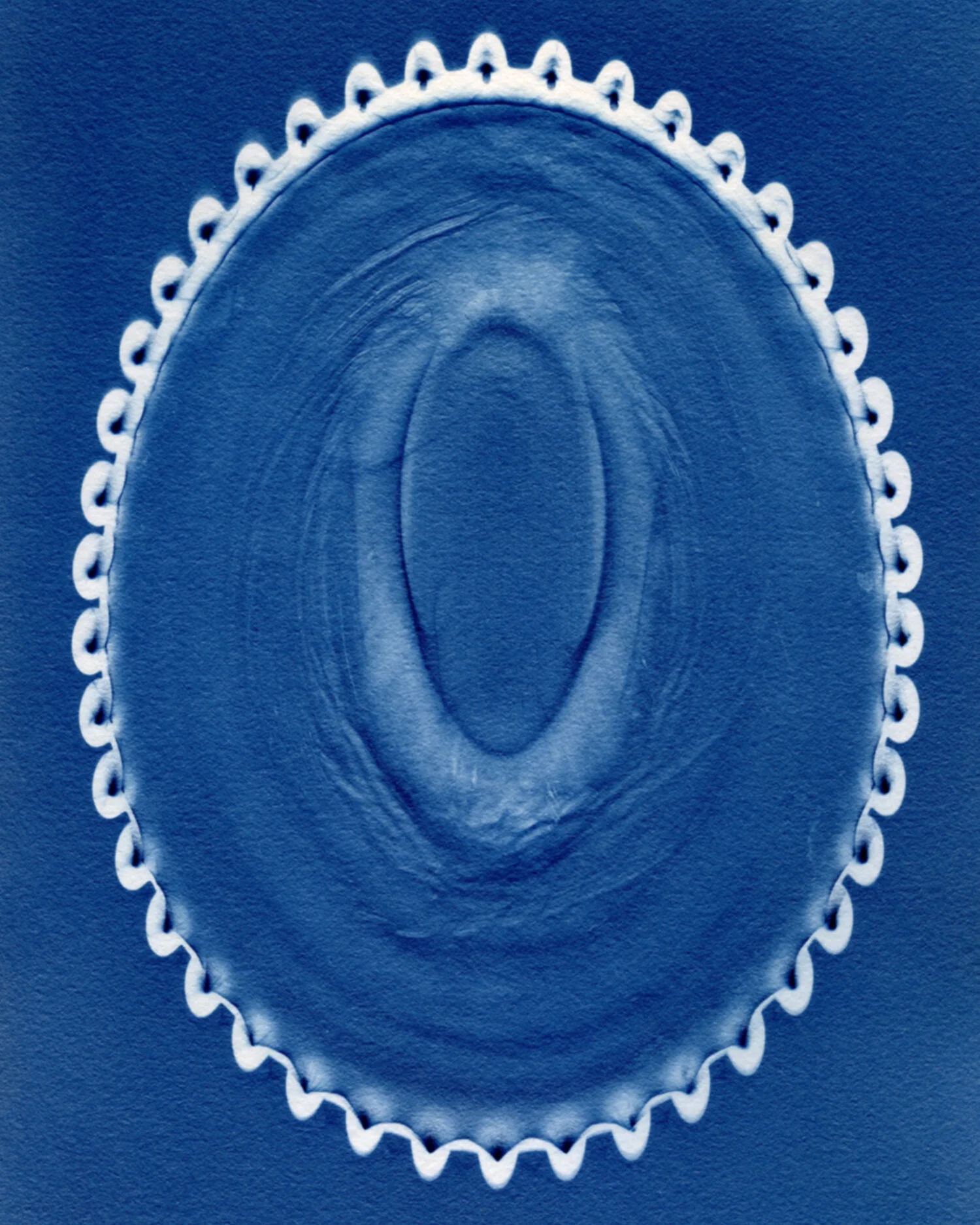 The Largest Curated Gallery of Cyanotypes of 2021 — Analog Forever Magazine