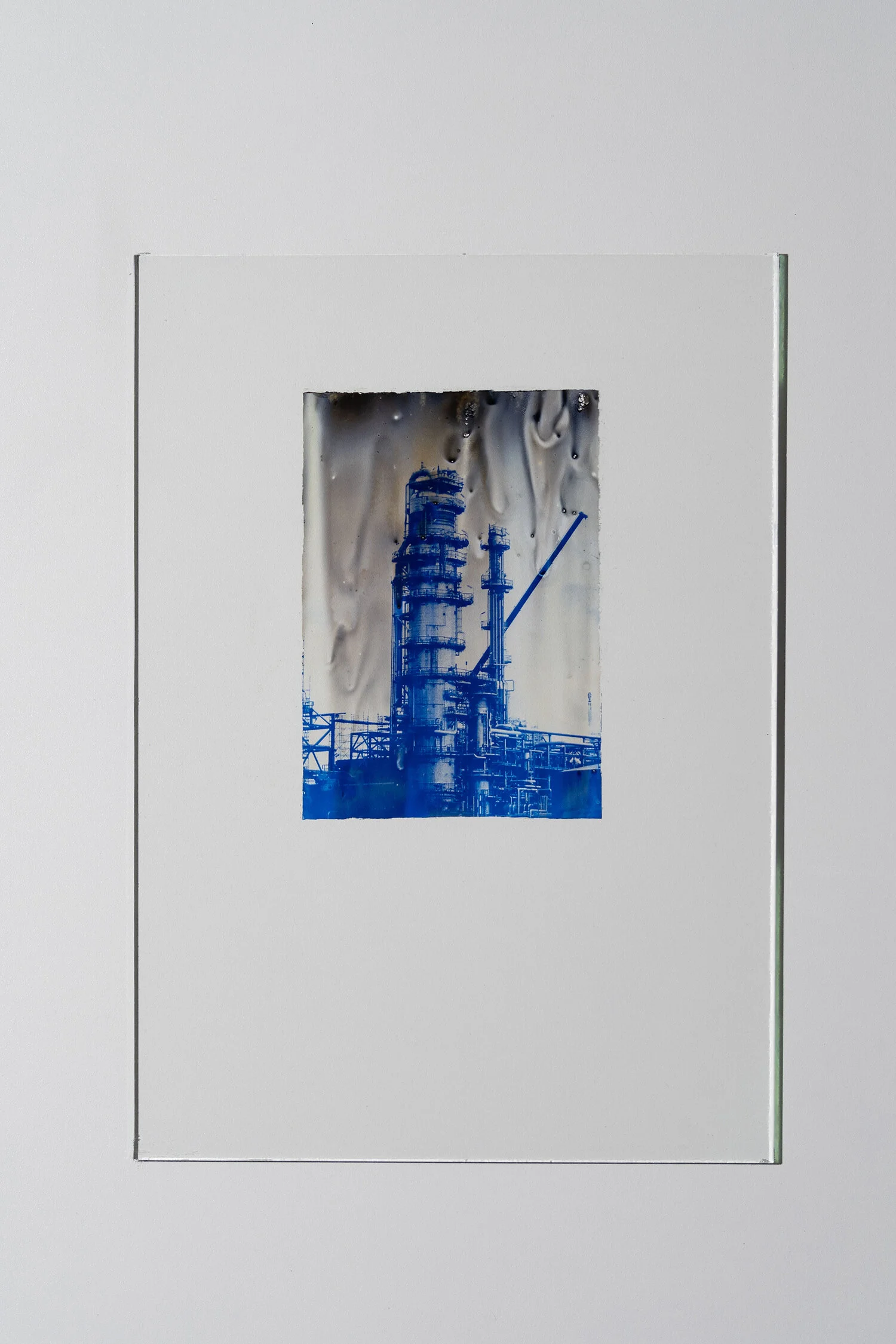 The Largest Curated Gallery of Cyanotypes of 2021 — Analog Forever Magazine