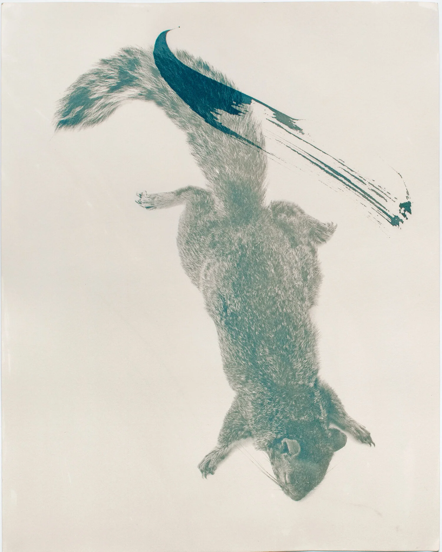 The Largest Curated Gallery of Cyanotypes of 2021 — Analog Forever Magazine