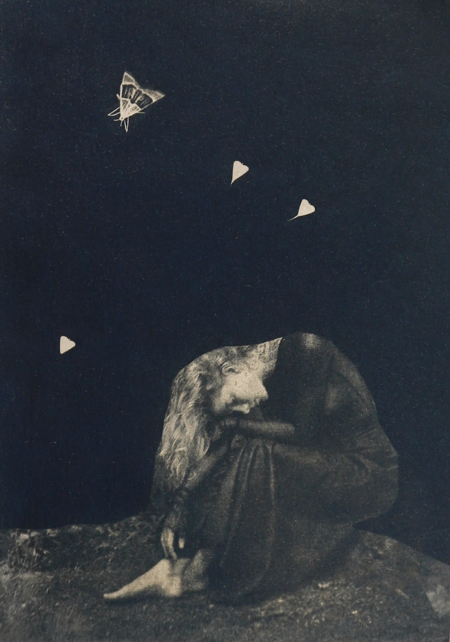 The Largest Curated Gallery of Cyanotypes of 2021 — Analog Forever Magazine