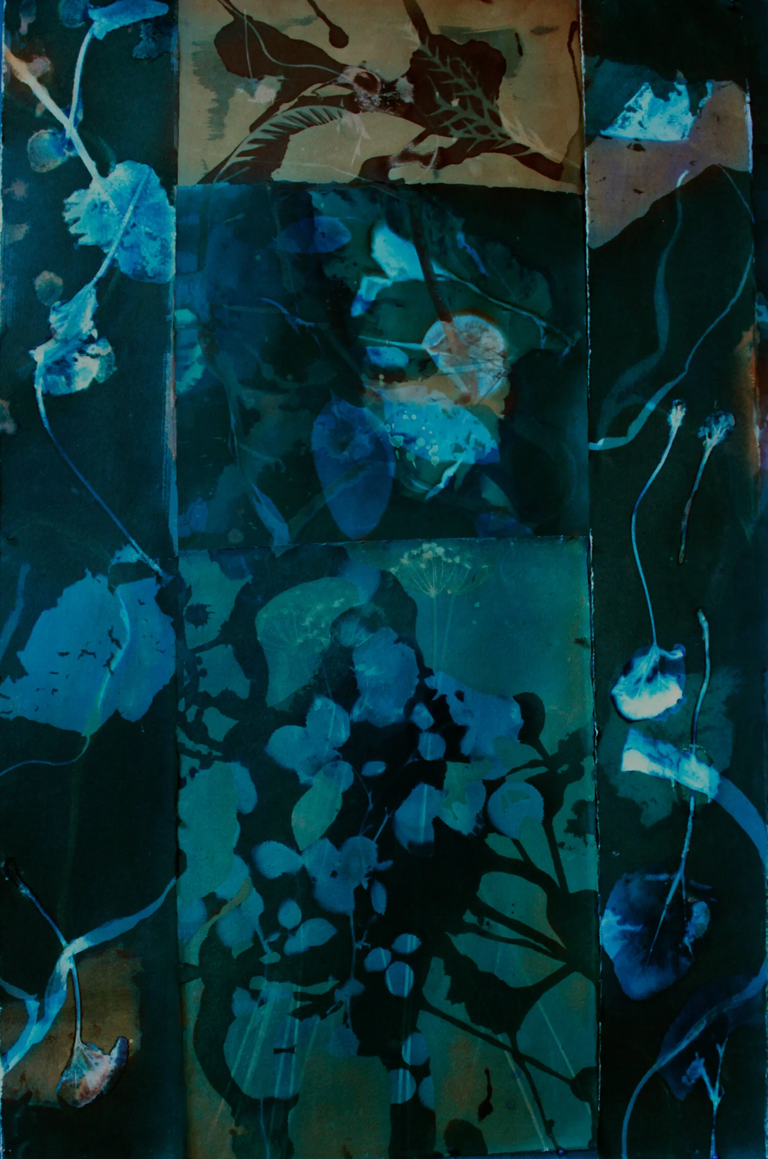 The Largest Curated Gallery of Cyanotypes of 2021 — Analog Forever Magazine