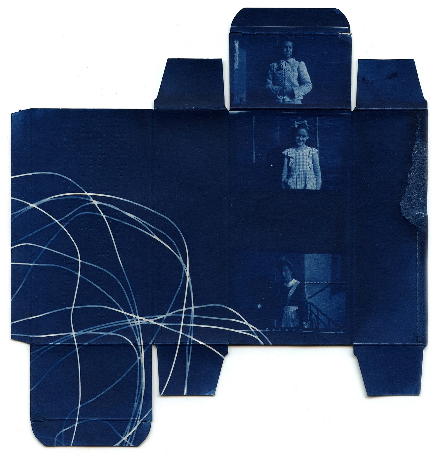 The Largest Curated Gallery of Cyanotypes of 2021 — Analog Forever Magazine