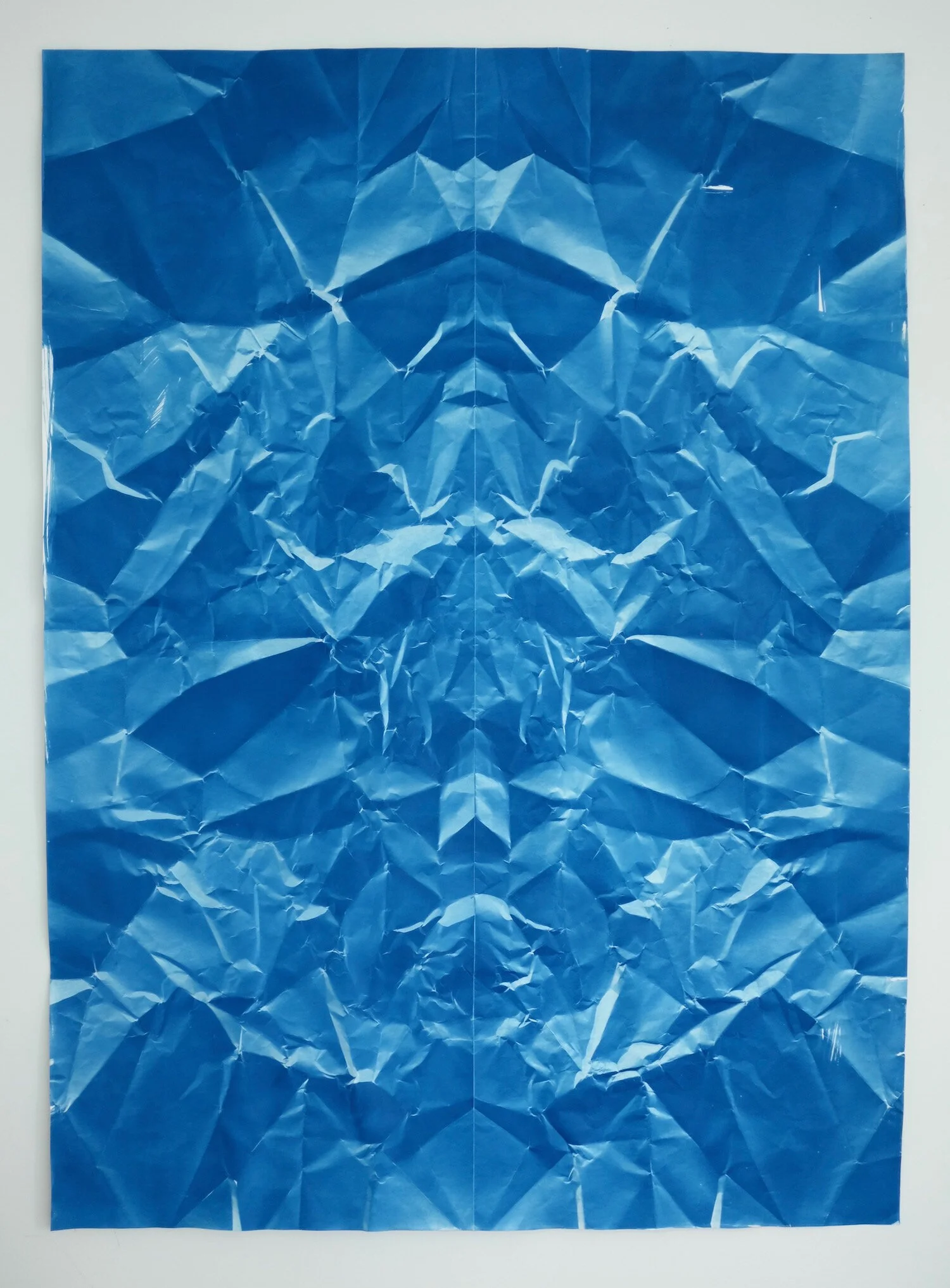 The Largest Curated Gallery of Cyanotypes of 2021 — Analog Forever Magazine