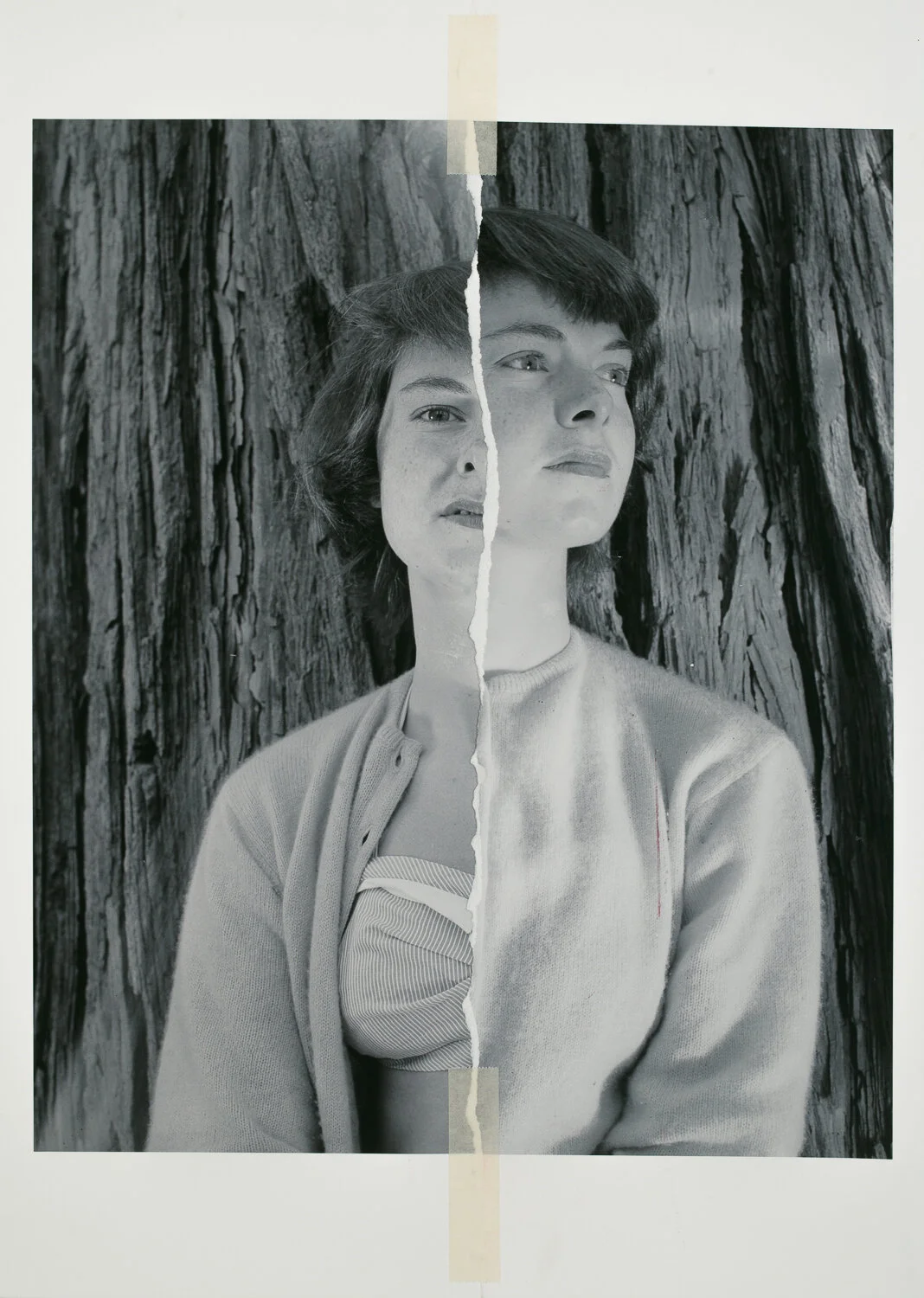 Featured Photographer: Cody Bratt's “The Other Stories" — Analog ...