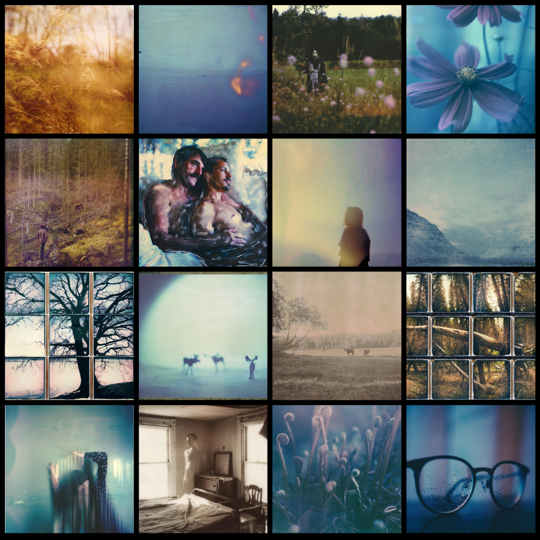 Polaroid Week - Fall 2021: Our Top 20 Favorites! — Analog Forever Magazine