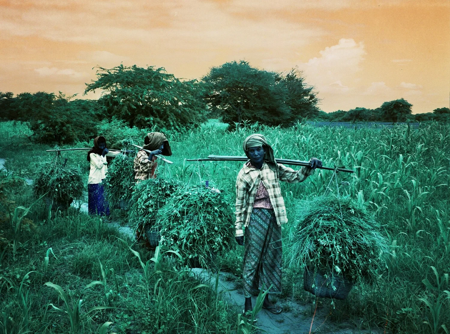 20 Lomography Film Photographers You Need to Know! — Analog Forever ...