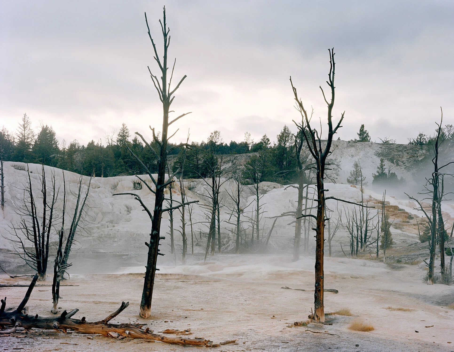 Online Group Exhibition - "I Used To Travel” May 2021 — Analog Forever ...