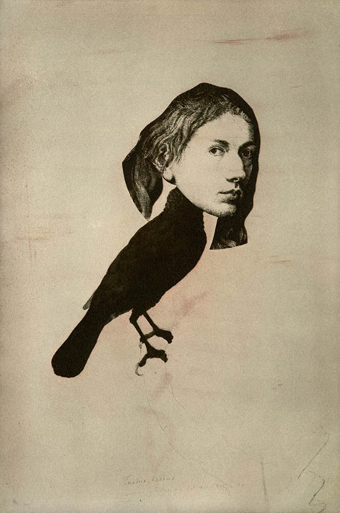 Book Review: A Blue Idyll - Cyanotypes and Dreams by Brenton Hamilton ...