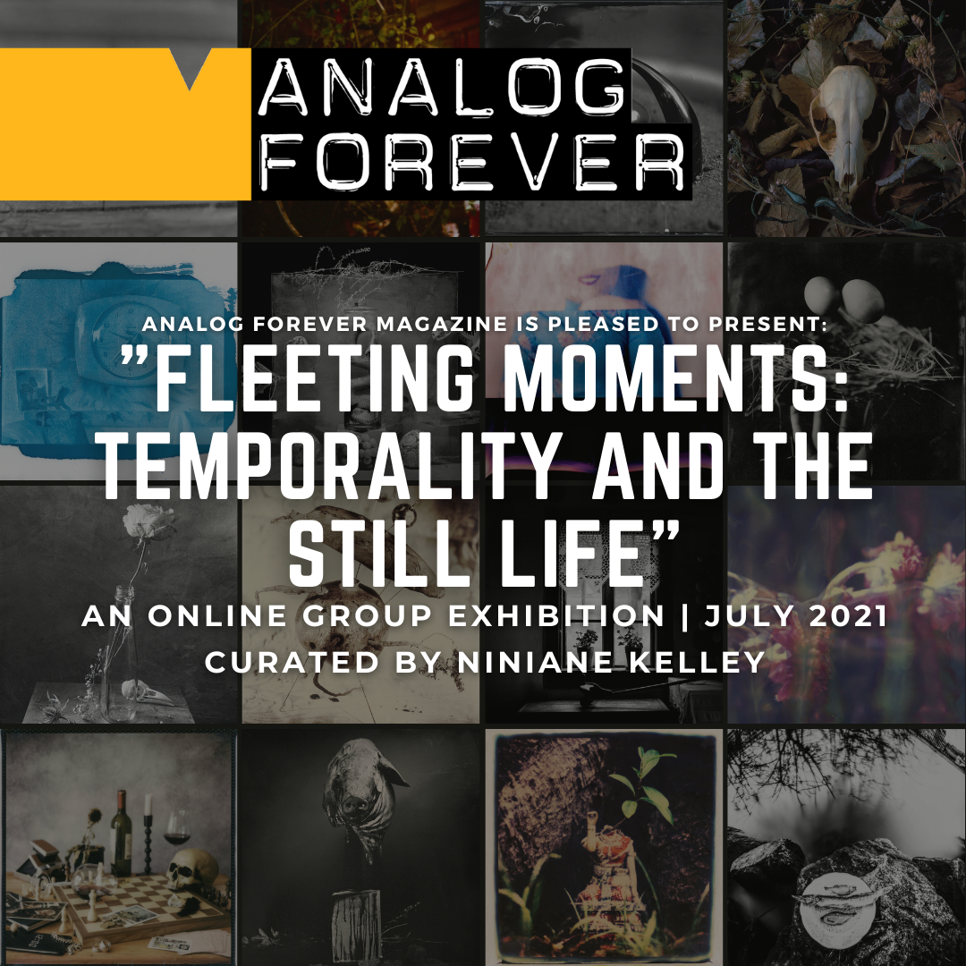 The Largest Curated Gallery of Still Life Photographs of 2021 — Analog ...