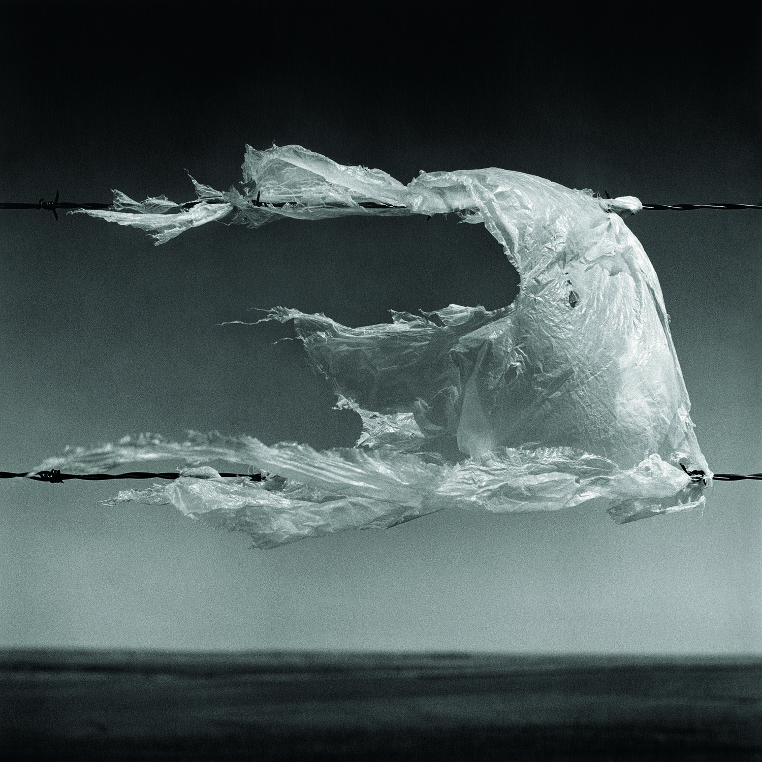 Analog Forever Magazine Edition 5 Artist Announcement! — Analog Forever ...