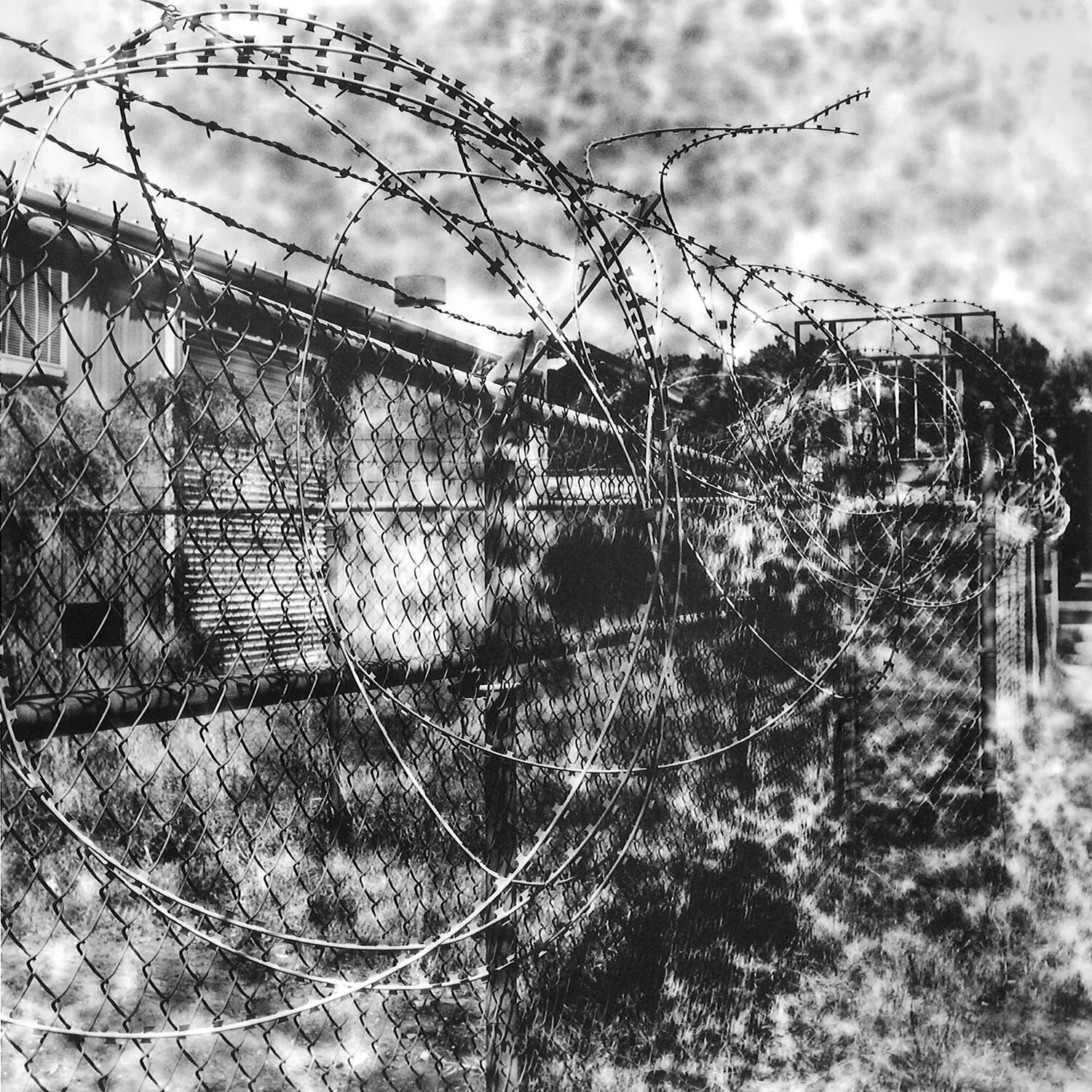 Online Group Exhibition - "Where Do We Go From Here?” October 2021 ...