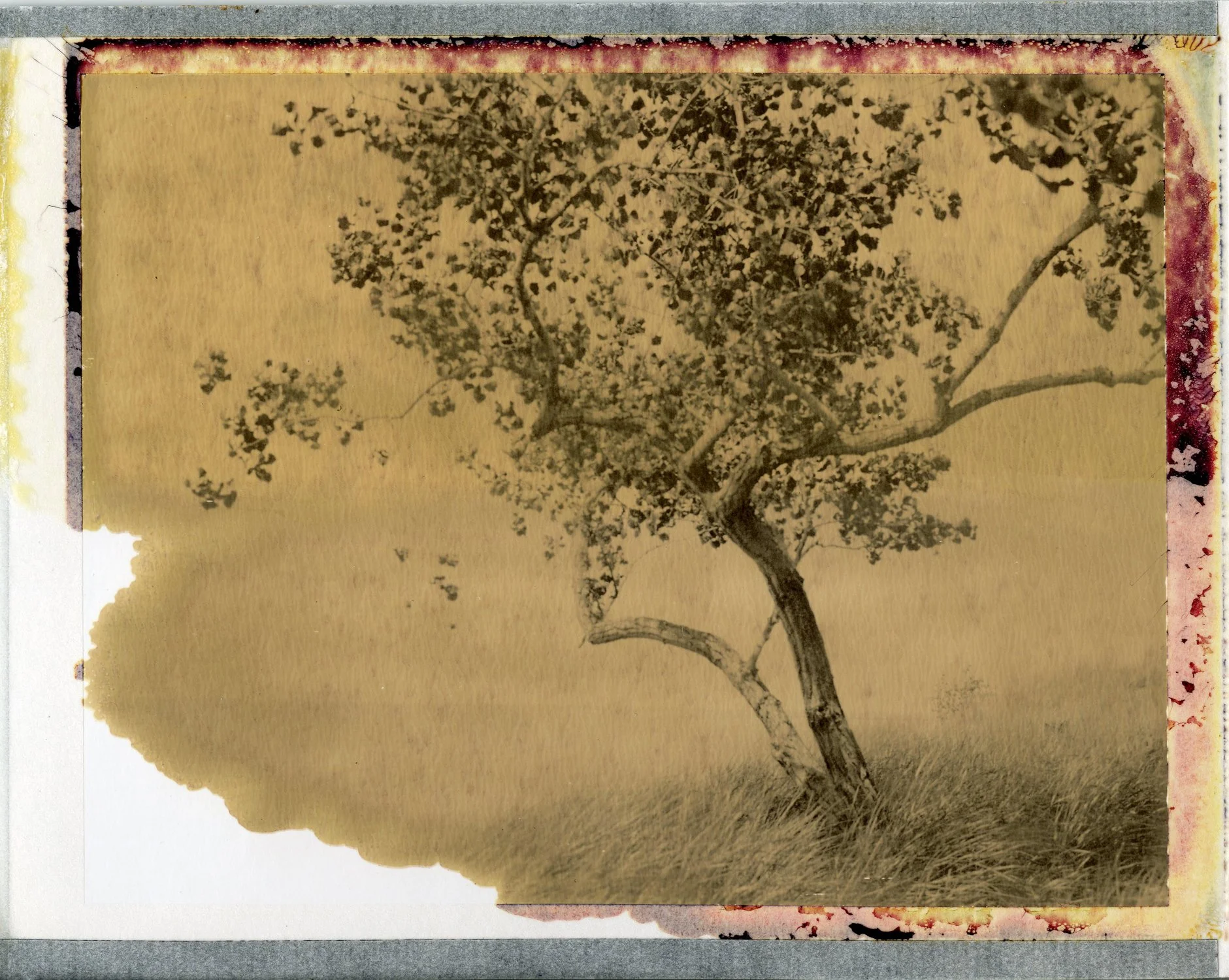 Polaroid Week - Fall 2021: Our Top 20 Favorites! — Analog Forever Magazine