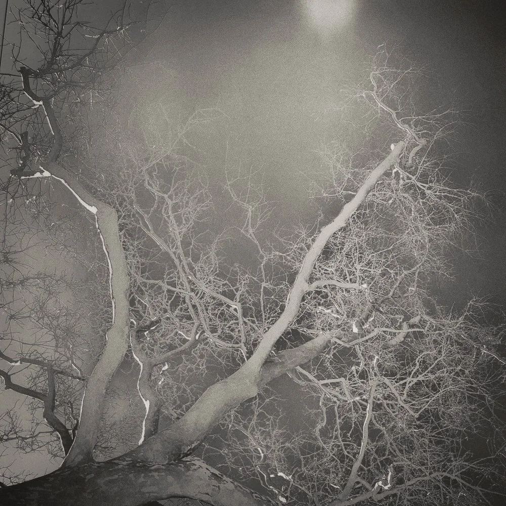 Book Review: Platinotype: Making Photographs in Platinum and Palladium ...