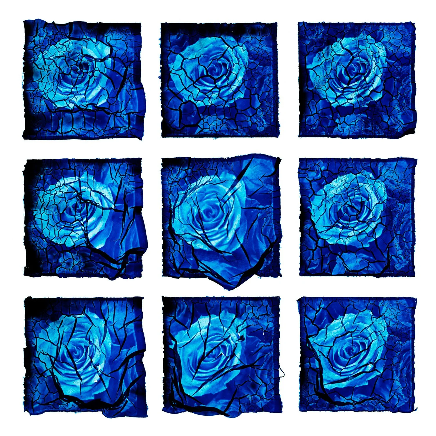 Online Group Exhibition - "Photography Out of Control!” December 2021 ...