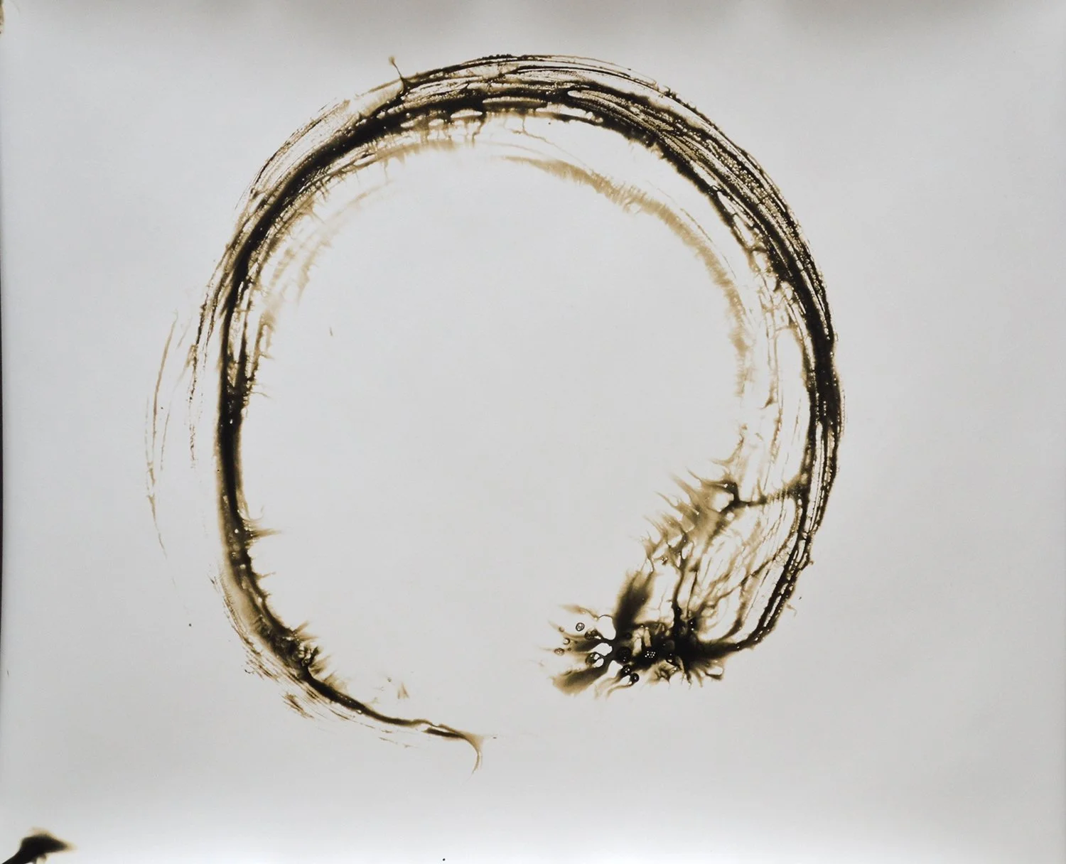 Featured Photographer: David Scheinbaum - “ENSŌ” — Analog Forever Magazine