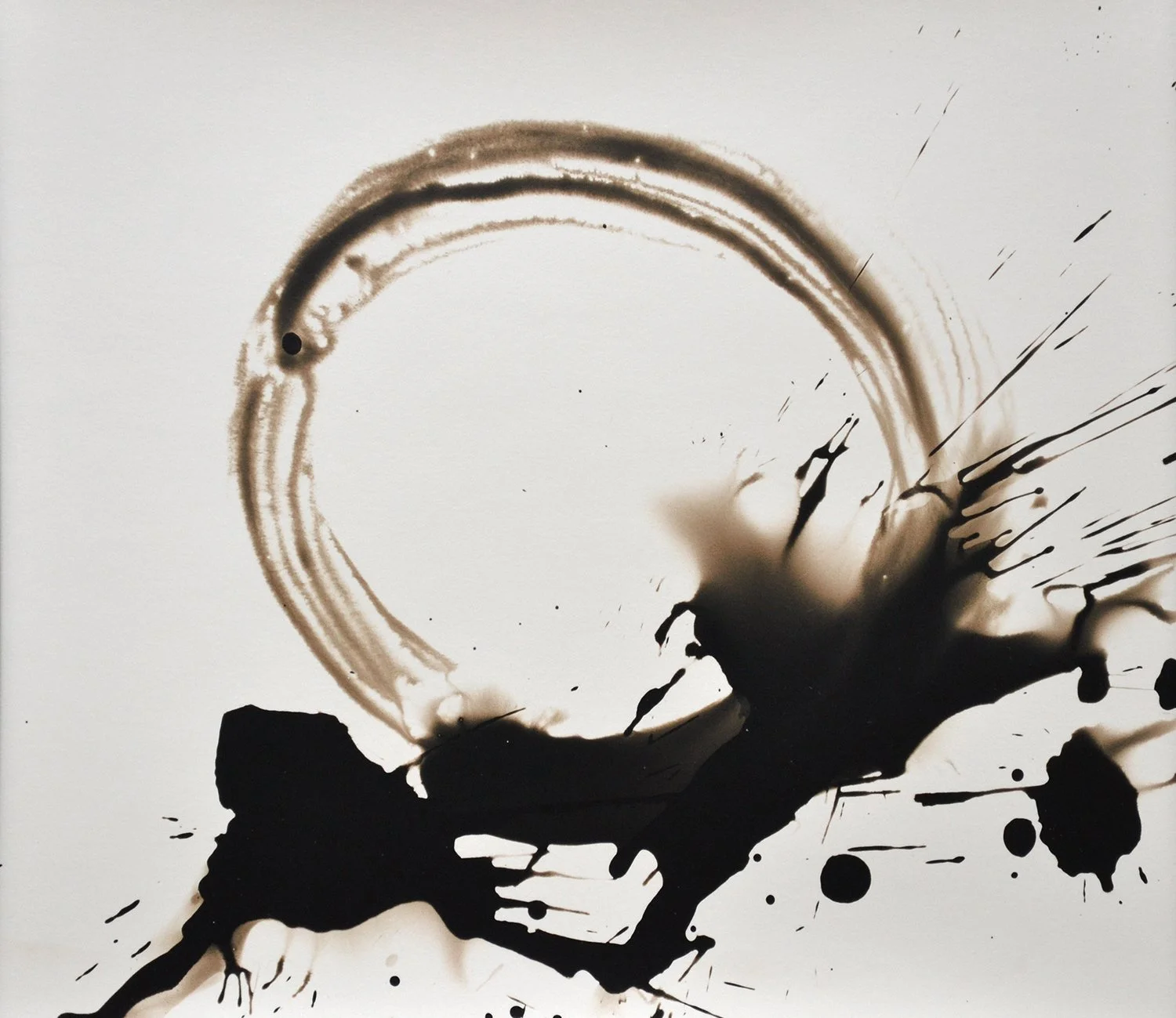 Featured Photographer: David Scheinbaum - “ENSŌ” — Analog Forever Magazine