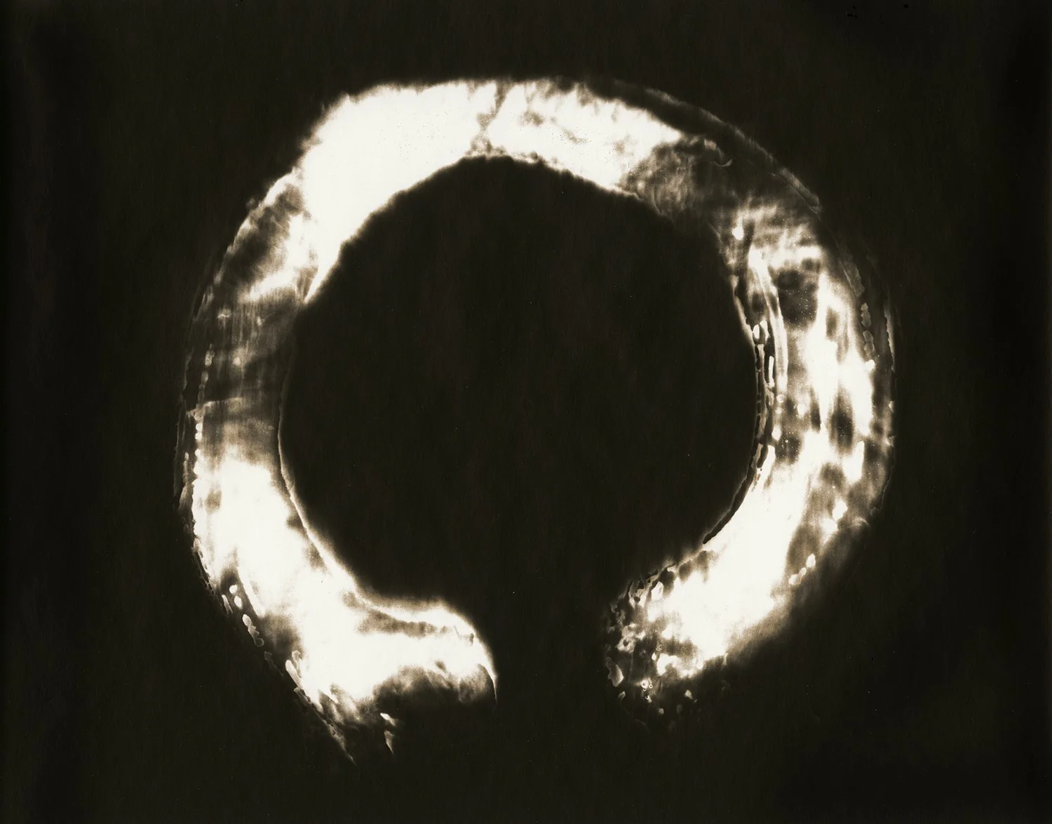 Featured Photographer: David Scheinbaum - “ENSŌ” — Analog Forever Magazine