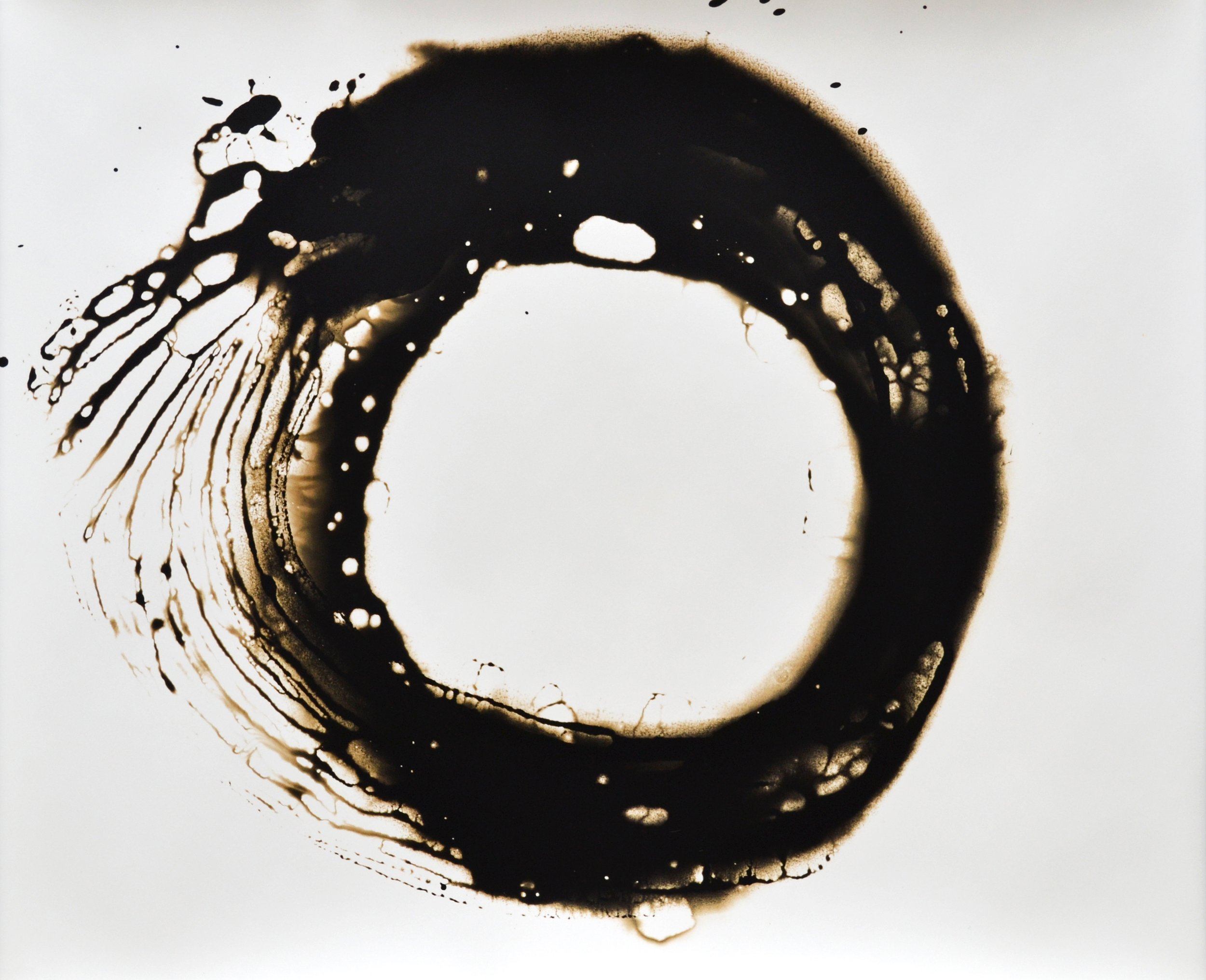 Featured Photographer: David Scheinbaum - “ENSŌ” — Analog Forever Magazine