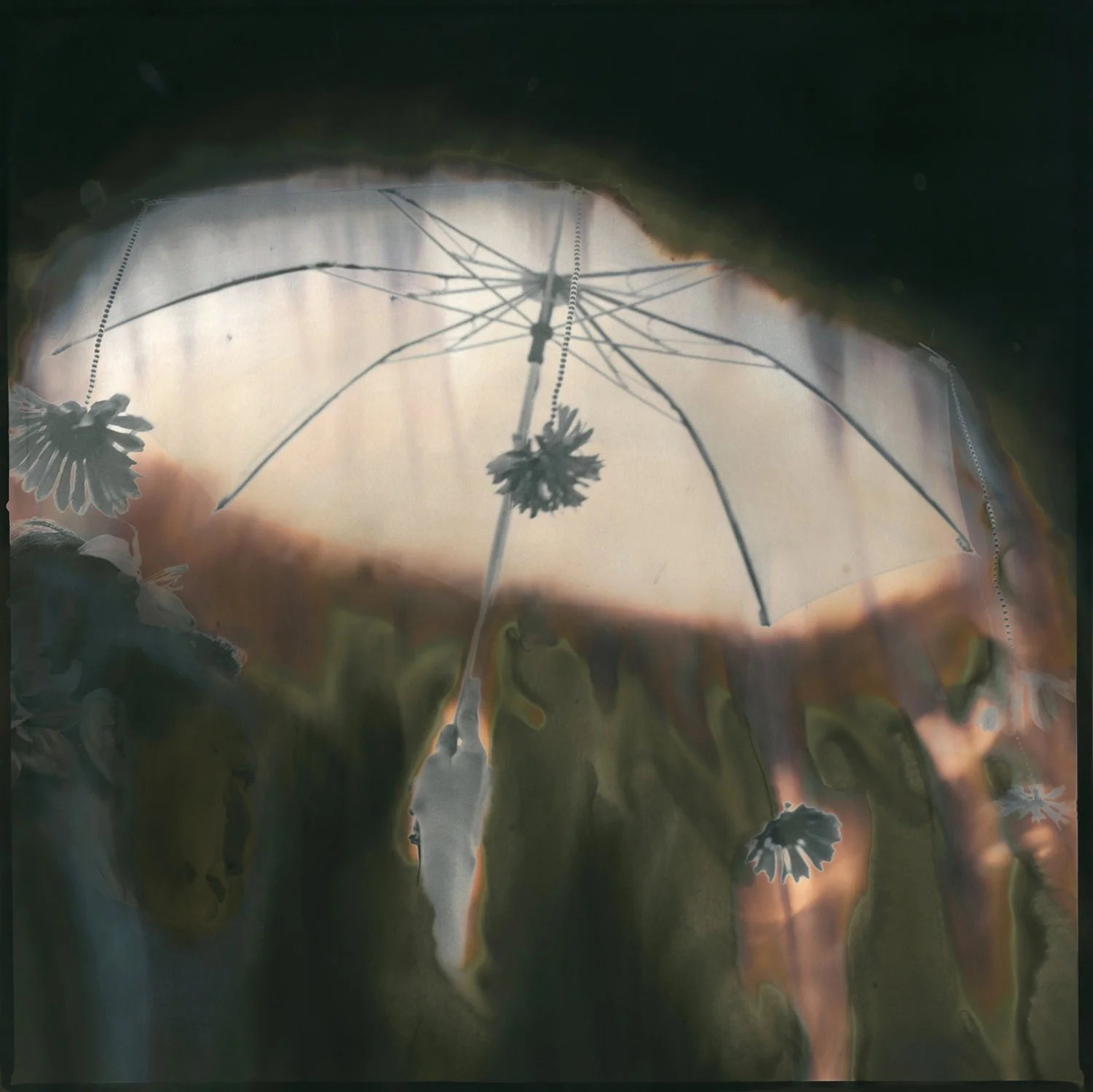 Featured Photographer: Jan Cook - "Fugue: A Dreamlike State" — Analog ...