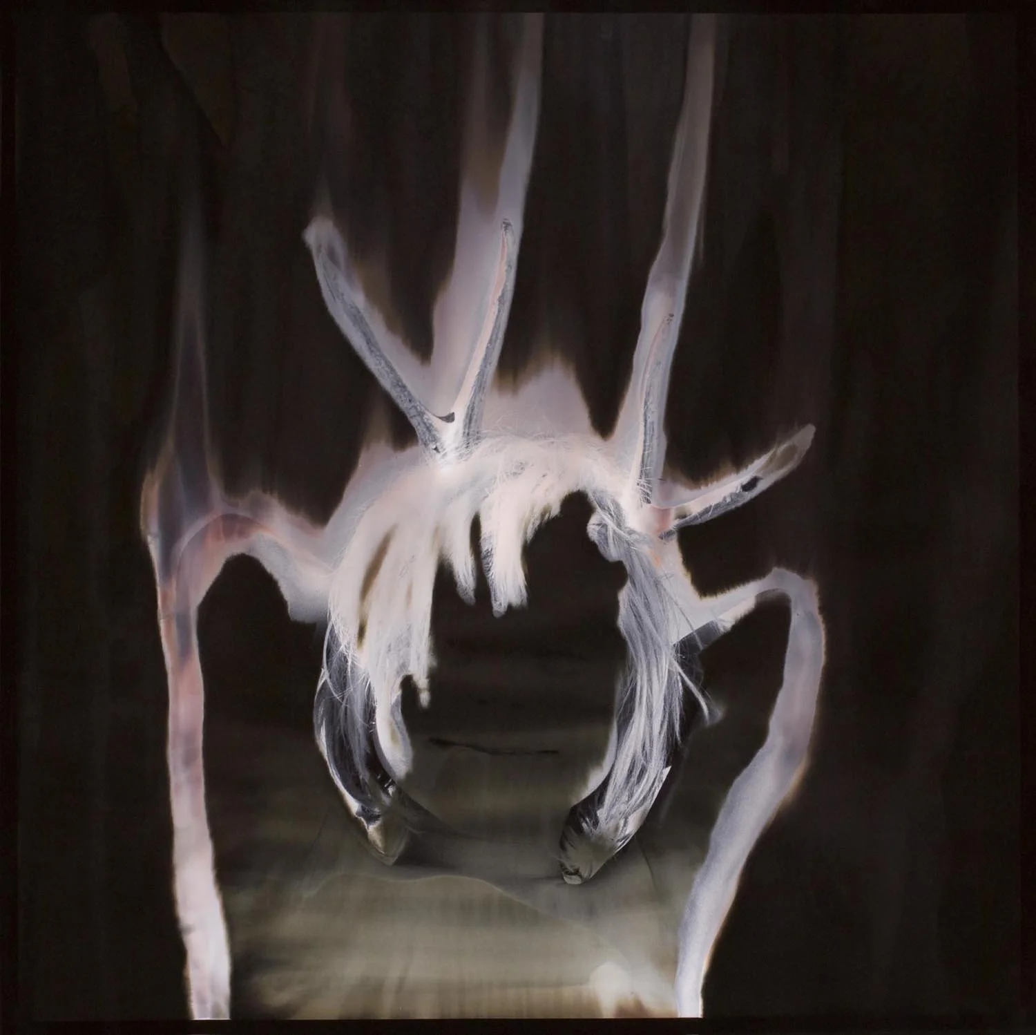 Featured Photographer: Jan Cook - "Fugue: A Dreamlike State" — Analog ...