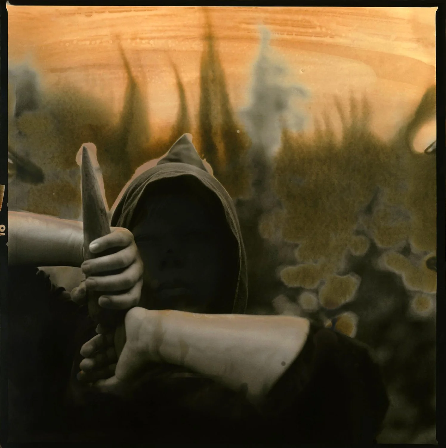 Featured Photographer: Jan Cook - "Fugue: A Dreamlike State" — Analog ...