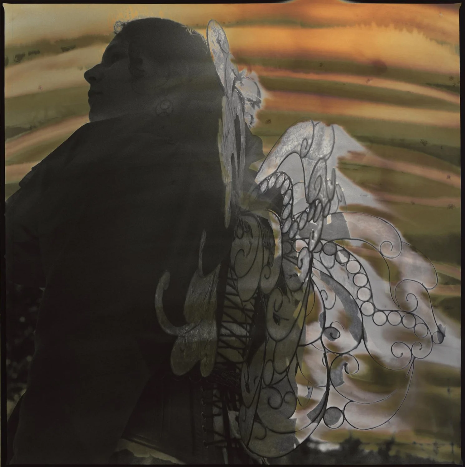 Featured Photographer: Jan Cook - "Fugue: A Dreamlike State" — Analog ...