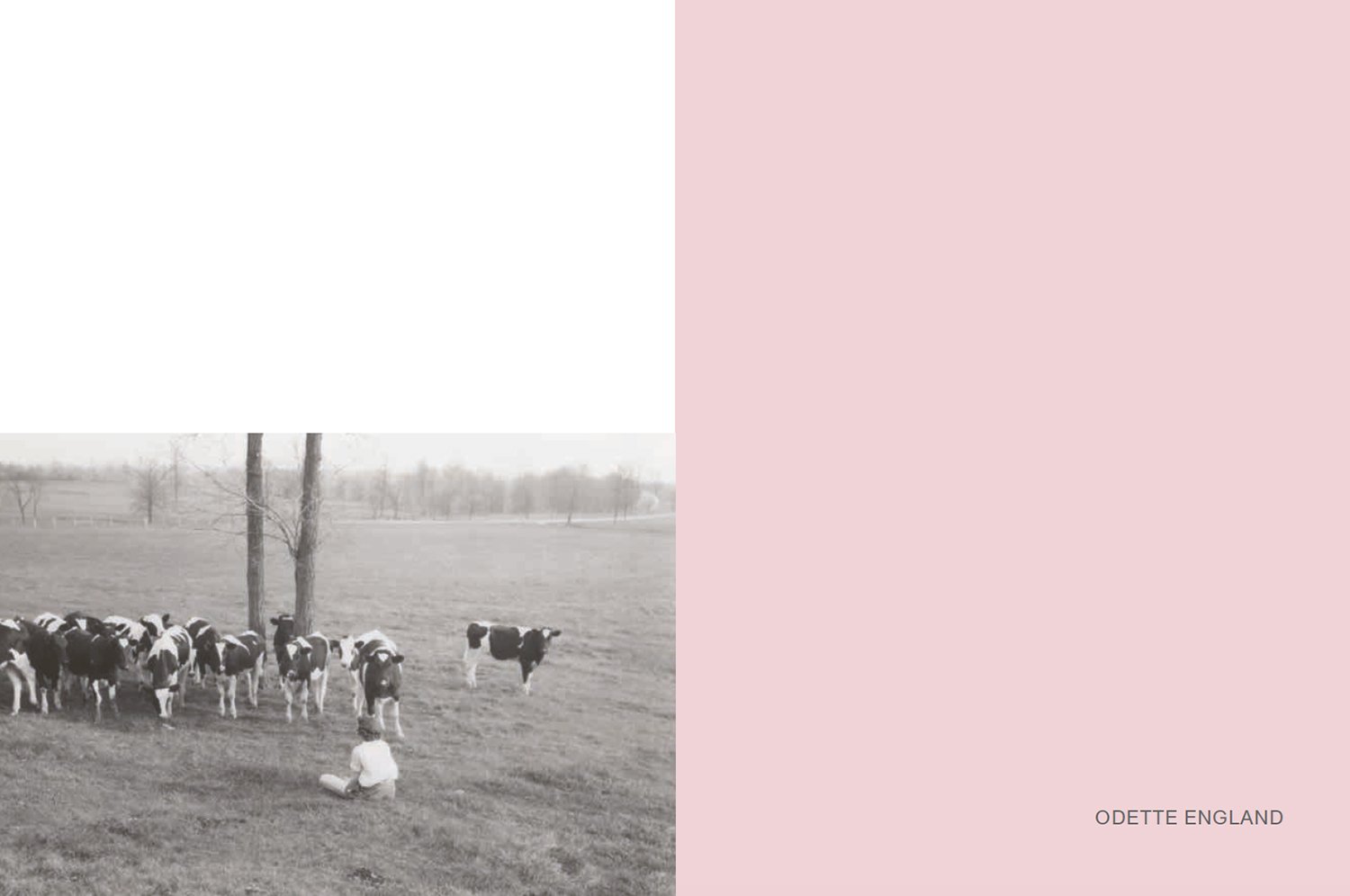Book Review: "Dairy Character" by Odette England — Analog Forever Magazine