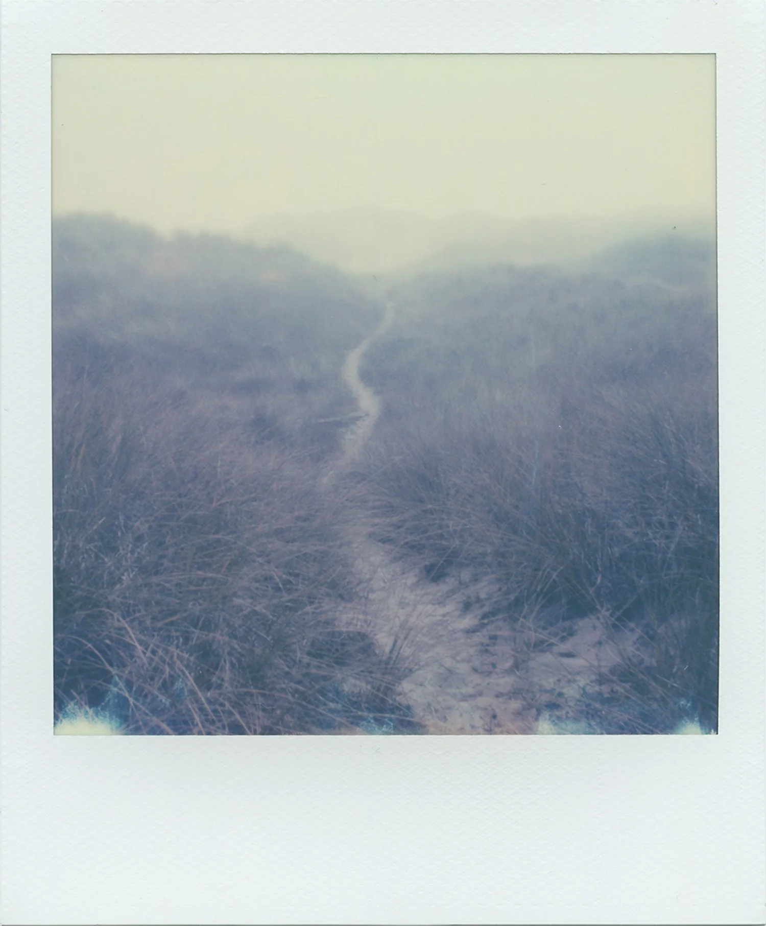 Featured Photographer: Jamie Swick - “Instant Transcendence” — Analog ...