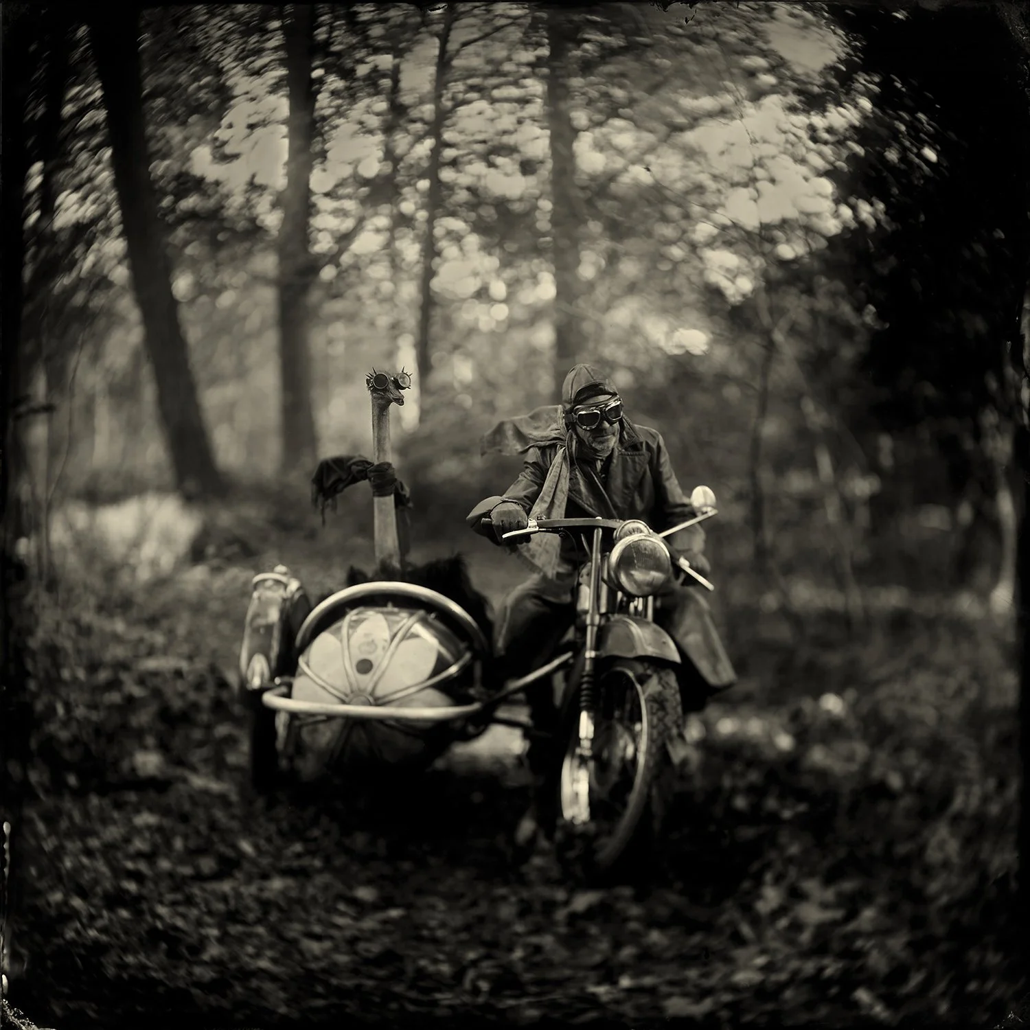 NSFW | 29 Wet Plate Collodion Photographers You Need to Know! — Analog ...