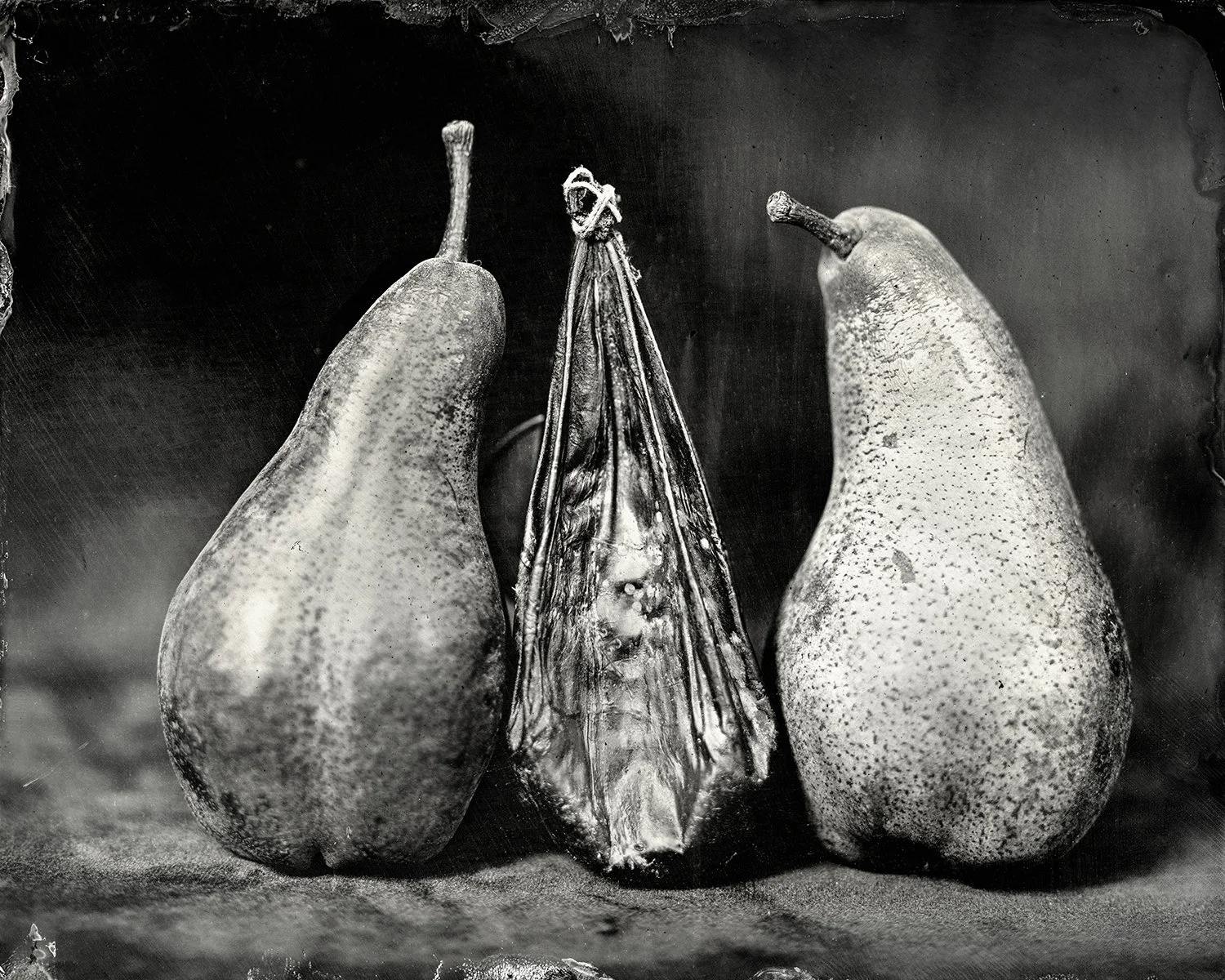 NSFW | 29 Wet Plate Collodion Photographers You Need to Know! — Analog ...