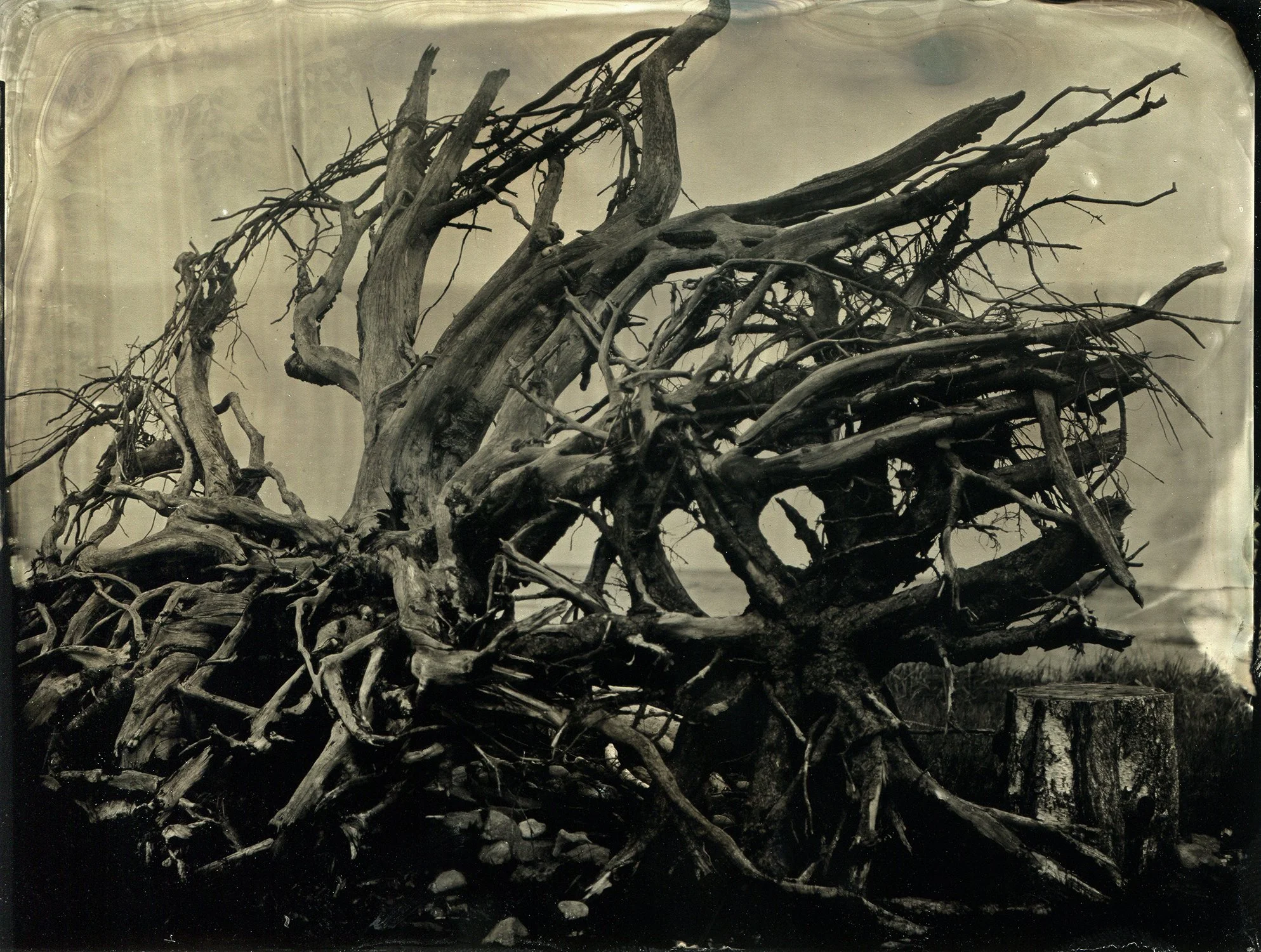 NSFW | 29 Wet Plate Collodion Photographers You Need to Know! — Analog ...