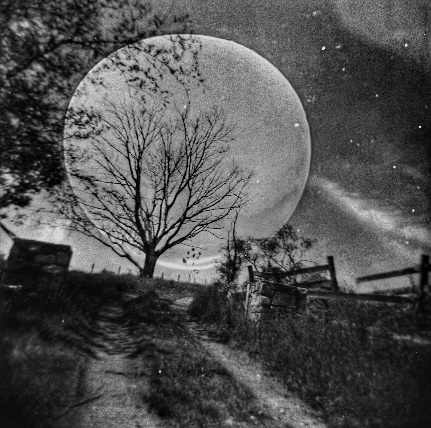 Online Group Exhibition - "Time” August 2022 — Analog Forever Magazine