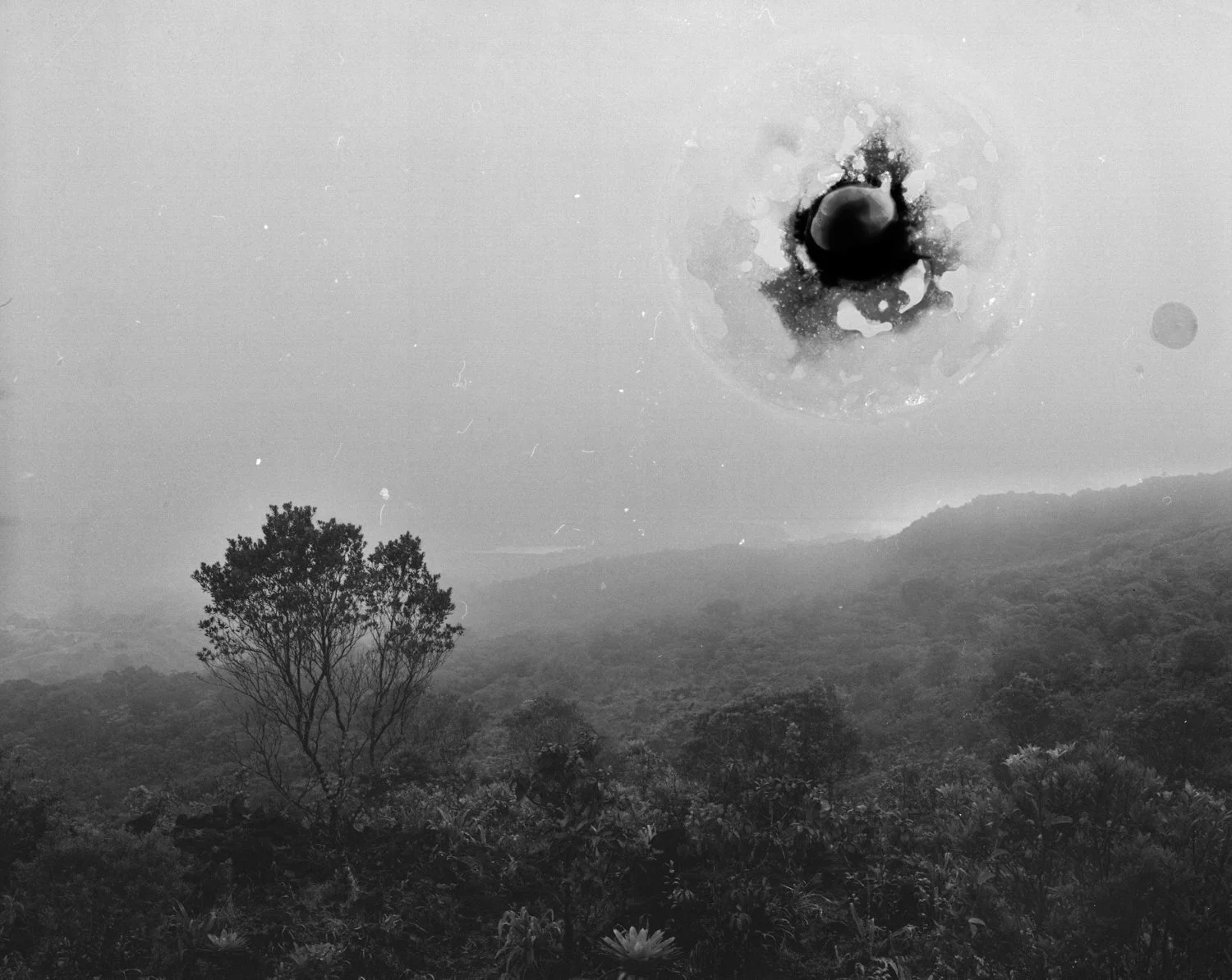 Featured Photographer: Josh Lee - "Altered Realities" — Analog Forever ...