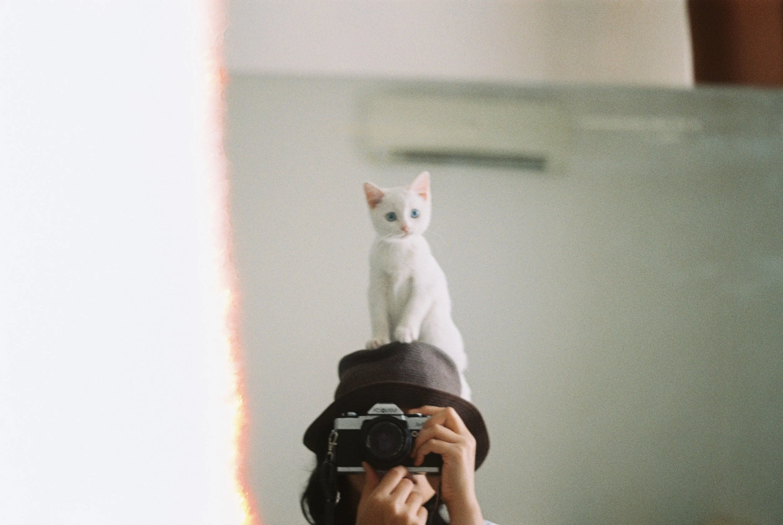 Online Group Exhibition - "Best Friends” November 2022 — Analog Forever Magazine