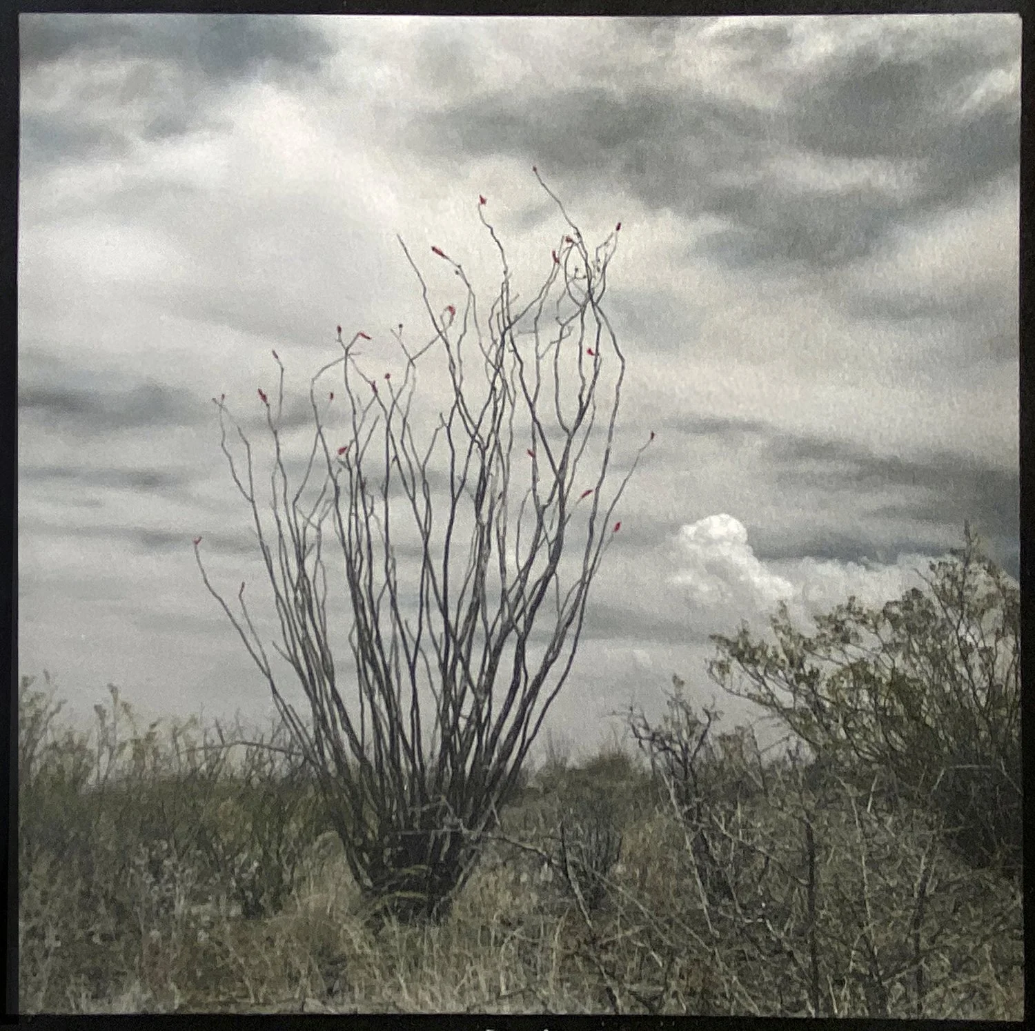 Featured Photographer: Liz Potter - "A Tornado of Sketches" — Analog ...