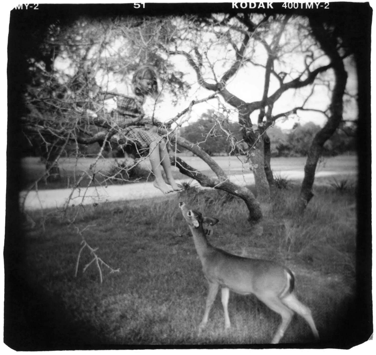 Featured Photographer: Liz Potter - "A Tornado of Sketches" — Analog ...