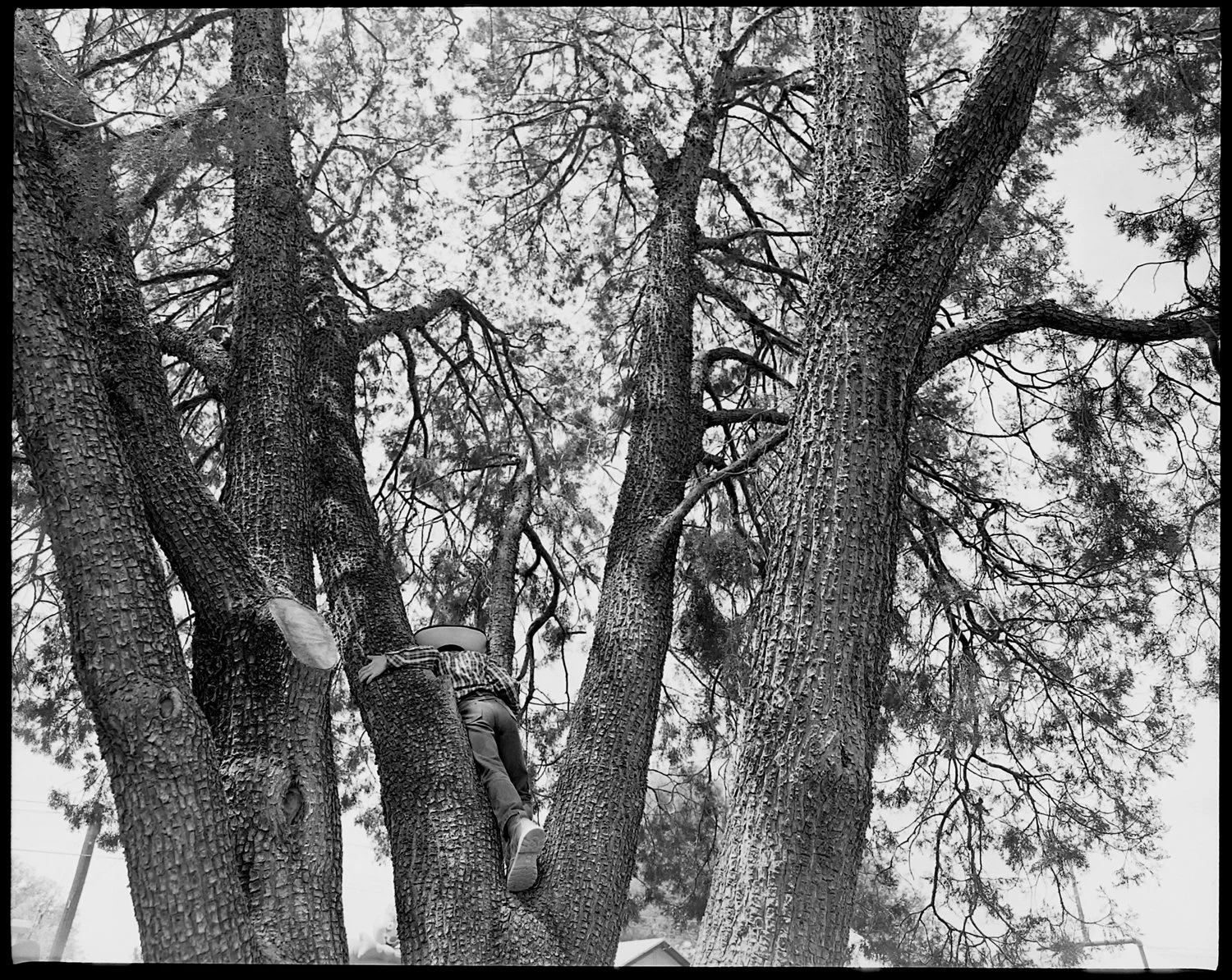 Featured Photographer: Liz Potter - "A Tornado of Sketches" — Analog ...