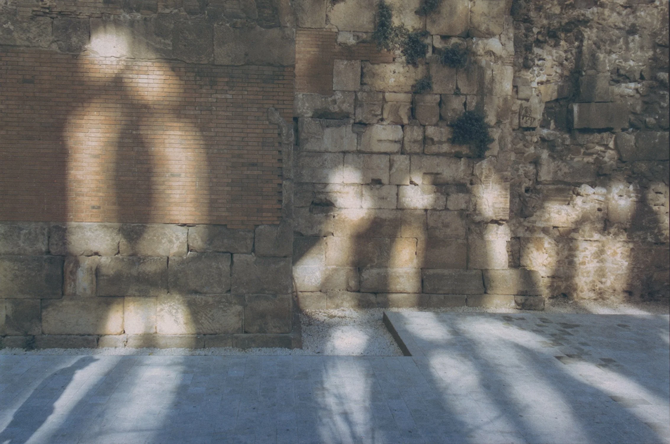 Twenty Alternative Process Photographers You Need to Know! — Analog ...