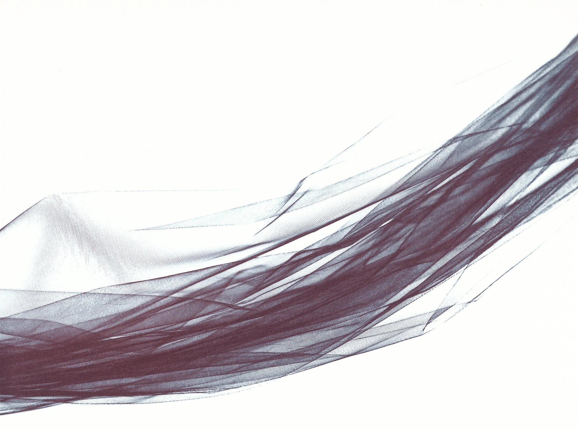 Twenty Alternative Process Photographers You Need to Know! — Analog ...