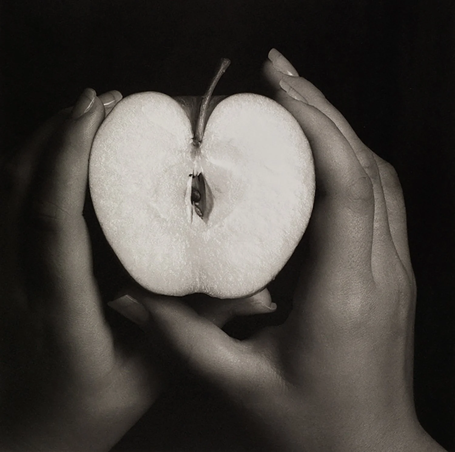 Twenty Alternative Process Photographers You Need to Know! — Analog ...