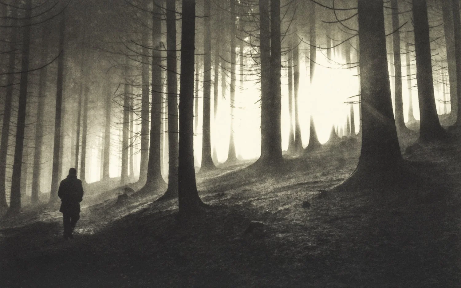 Analog Forever Magazine’s Top 40 Analog Photographs of 2022 — Analog ...