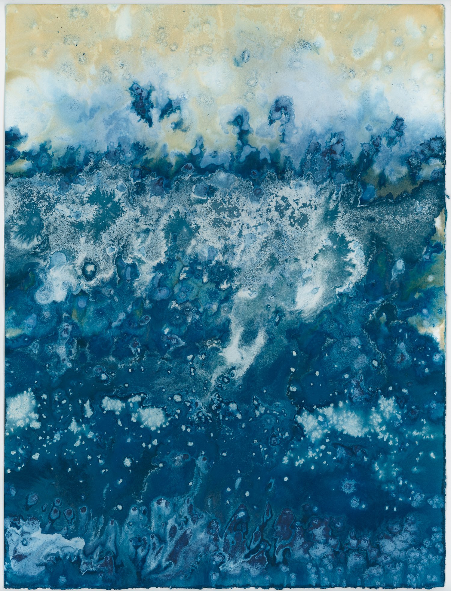 Online Group Exhibition - "The Natural World” March 2023 — Analog ...