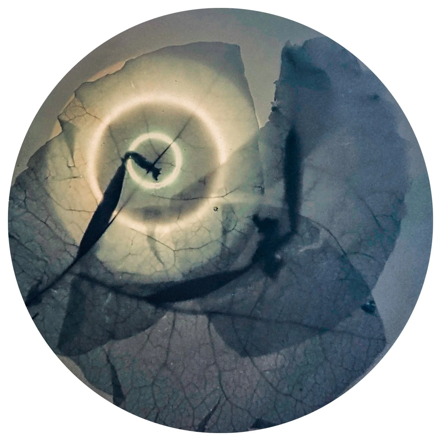 Online Group Exhibition - "ELEMENTAL” April 2023 — Analog Forever Magazine