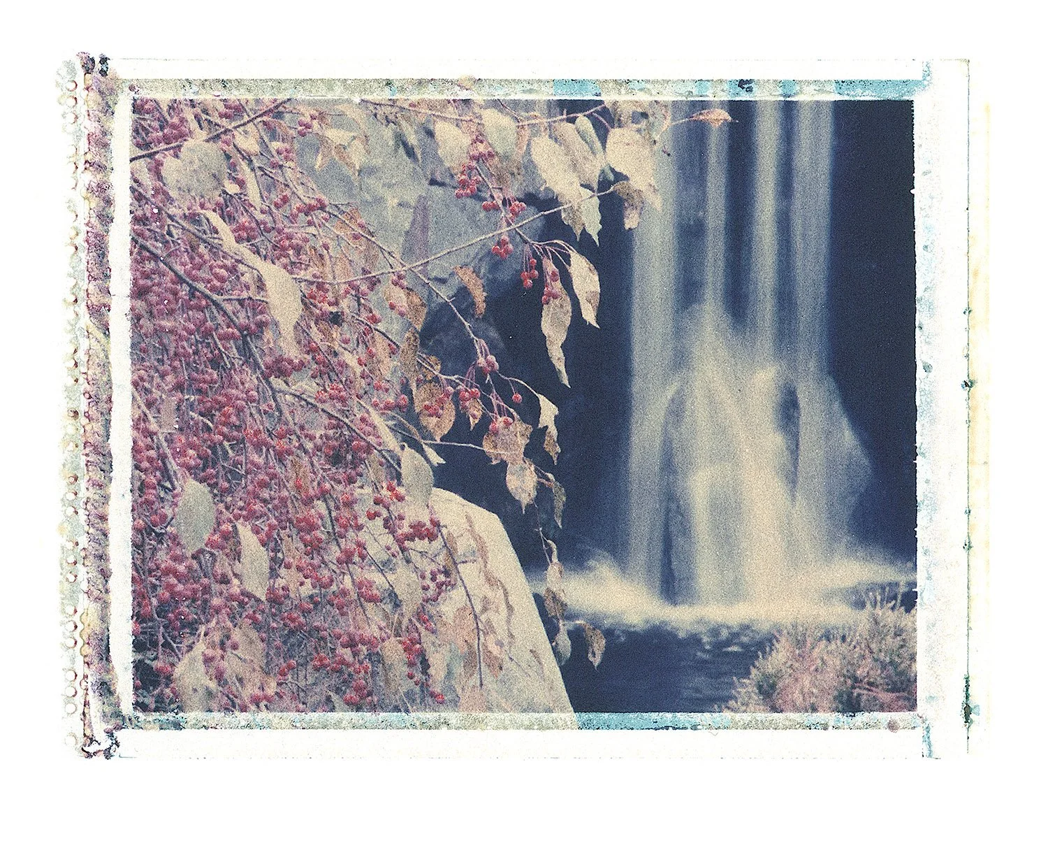 Analog Forever Magazine - Edition 8 Artist Announcement! — Analog ...